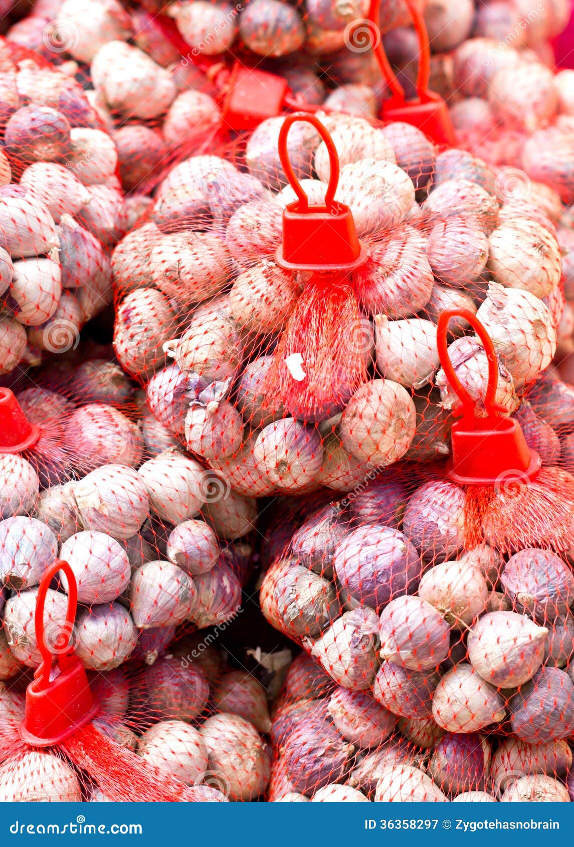 Many Red Onion with Red Net. Stock Image - Image of agriculture, market ...