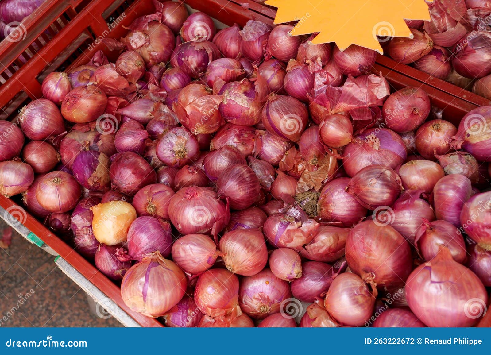 Many Red Onions on the Marketplace Stock Photo - Image of plant ...