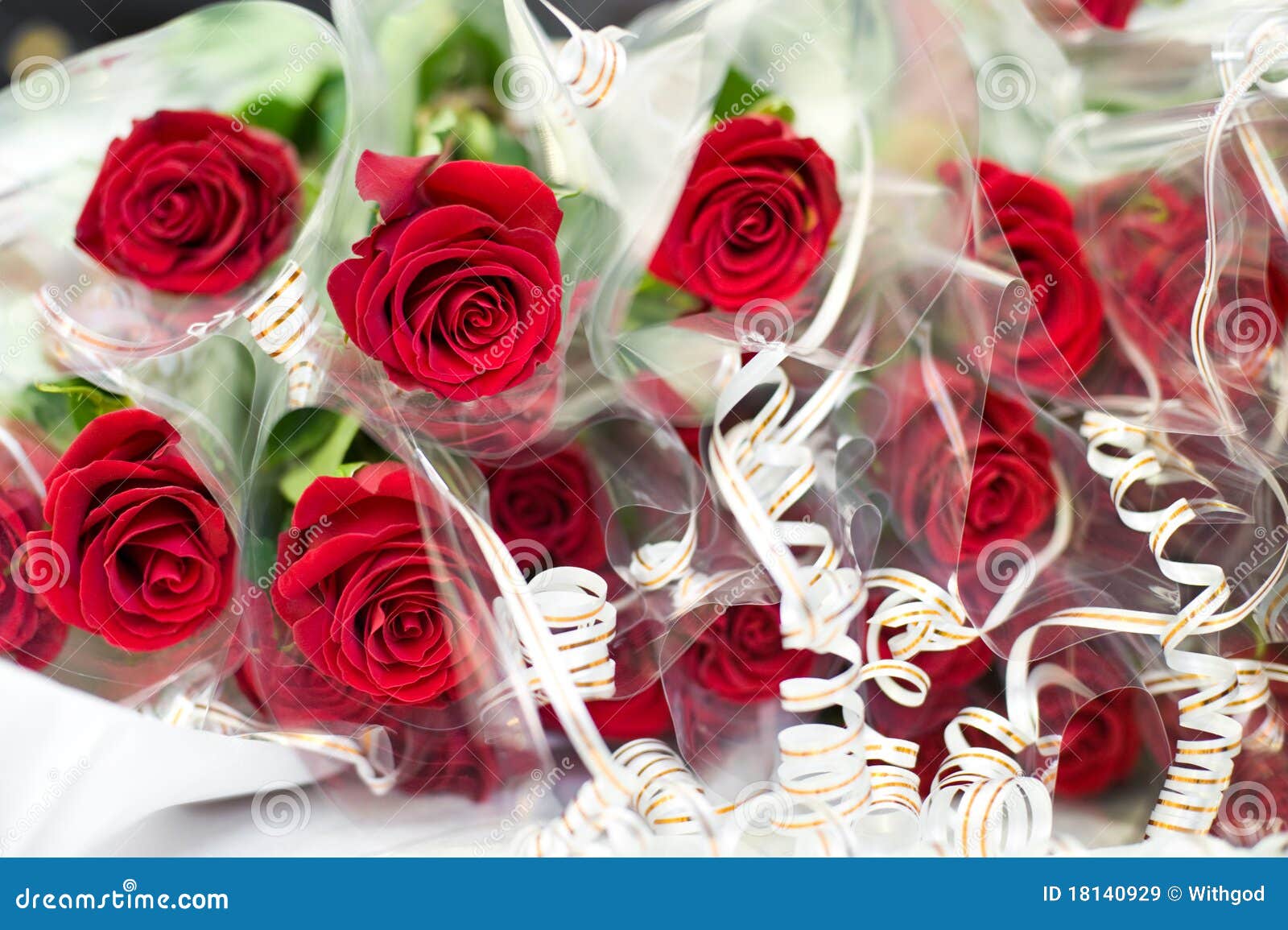 Many red roses stock image. Image of wrapped, closeup - 18140929