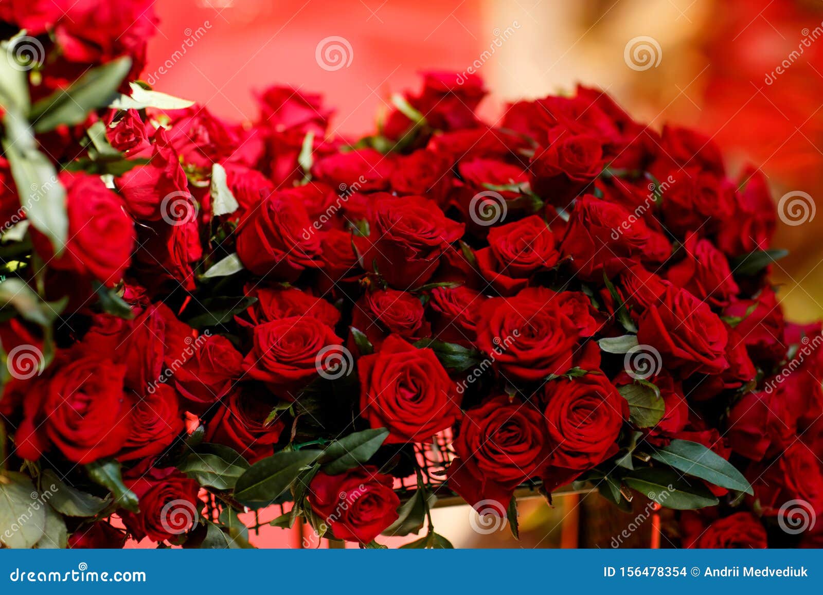 Beautiful Red Roses. Roses in the Interior. Many Red Roses Stock Photo ...