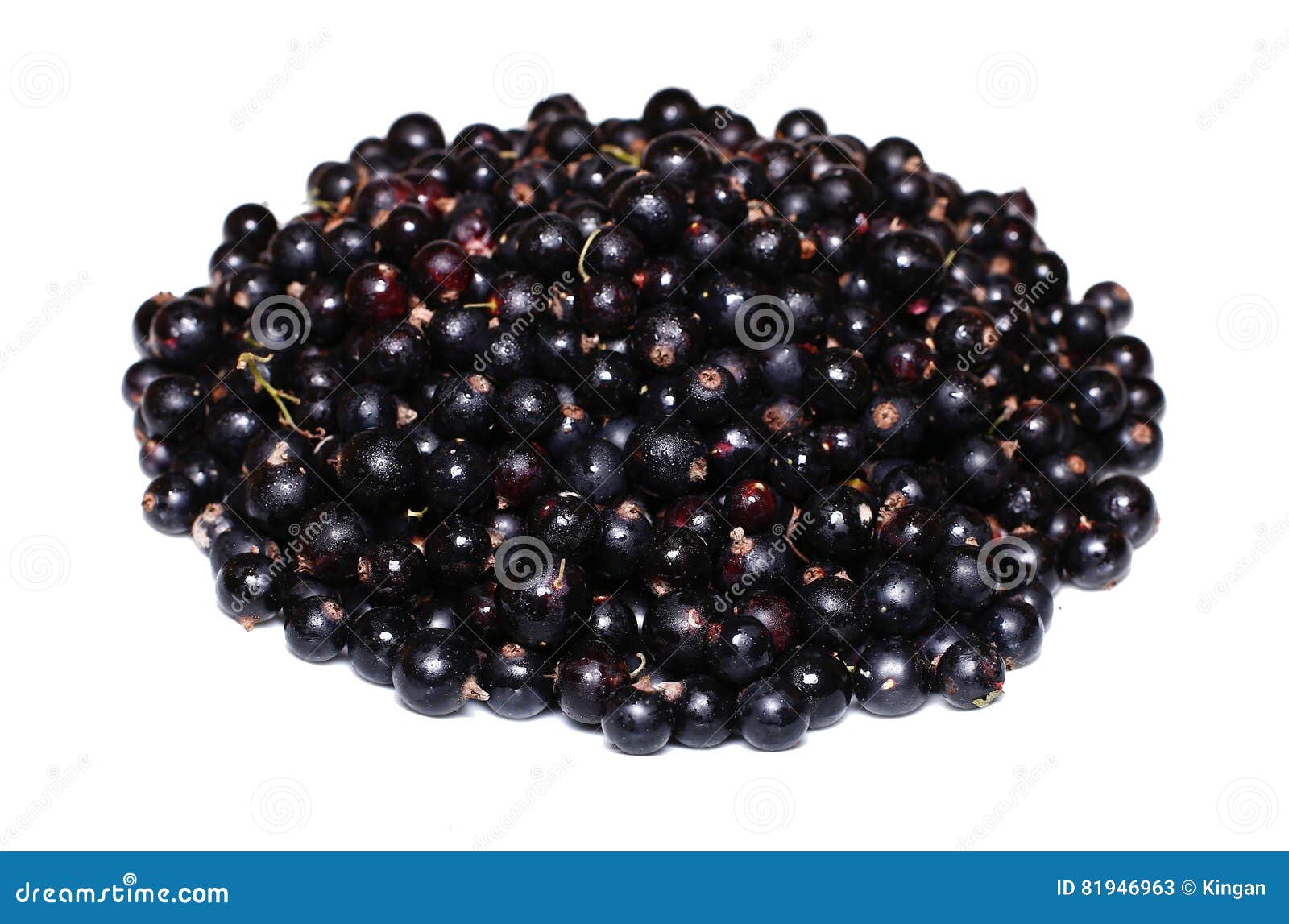 Many Ripe Black Currant Berries Isolated Stock Image - Image of ...
