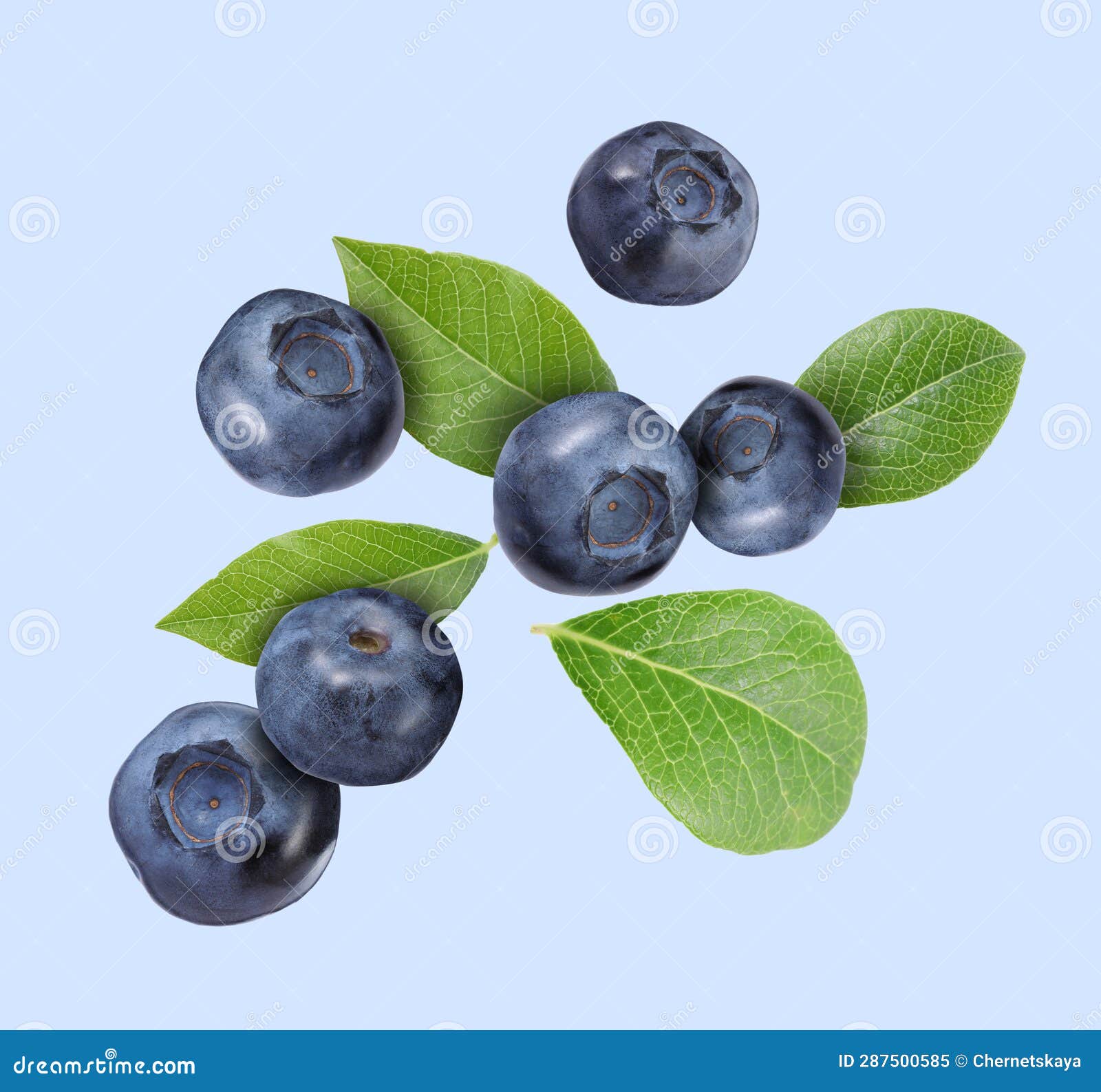 Many Ripe Blueberries and Green Leaves Falling on Light Blue Background ...