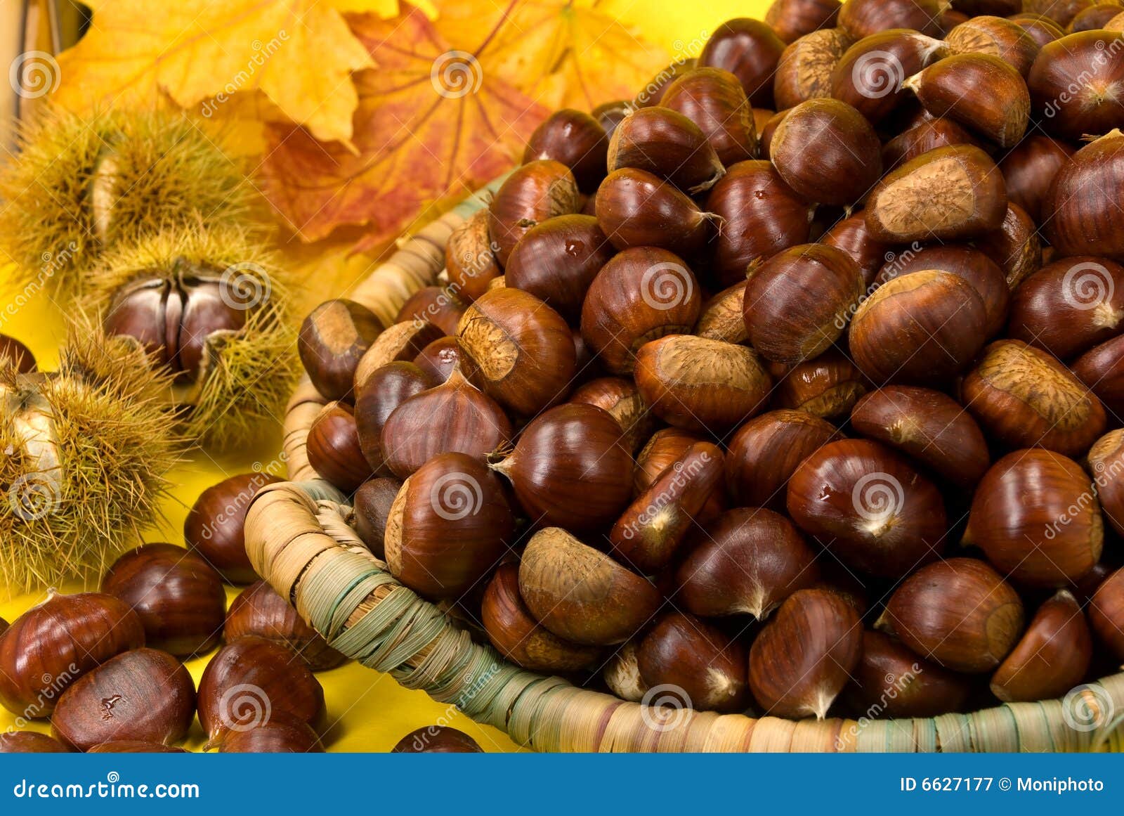 Many Ripe Chestnuts in a Basket Stock Image - Image of close, isolated ...
