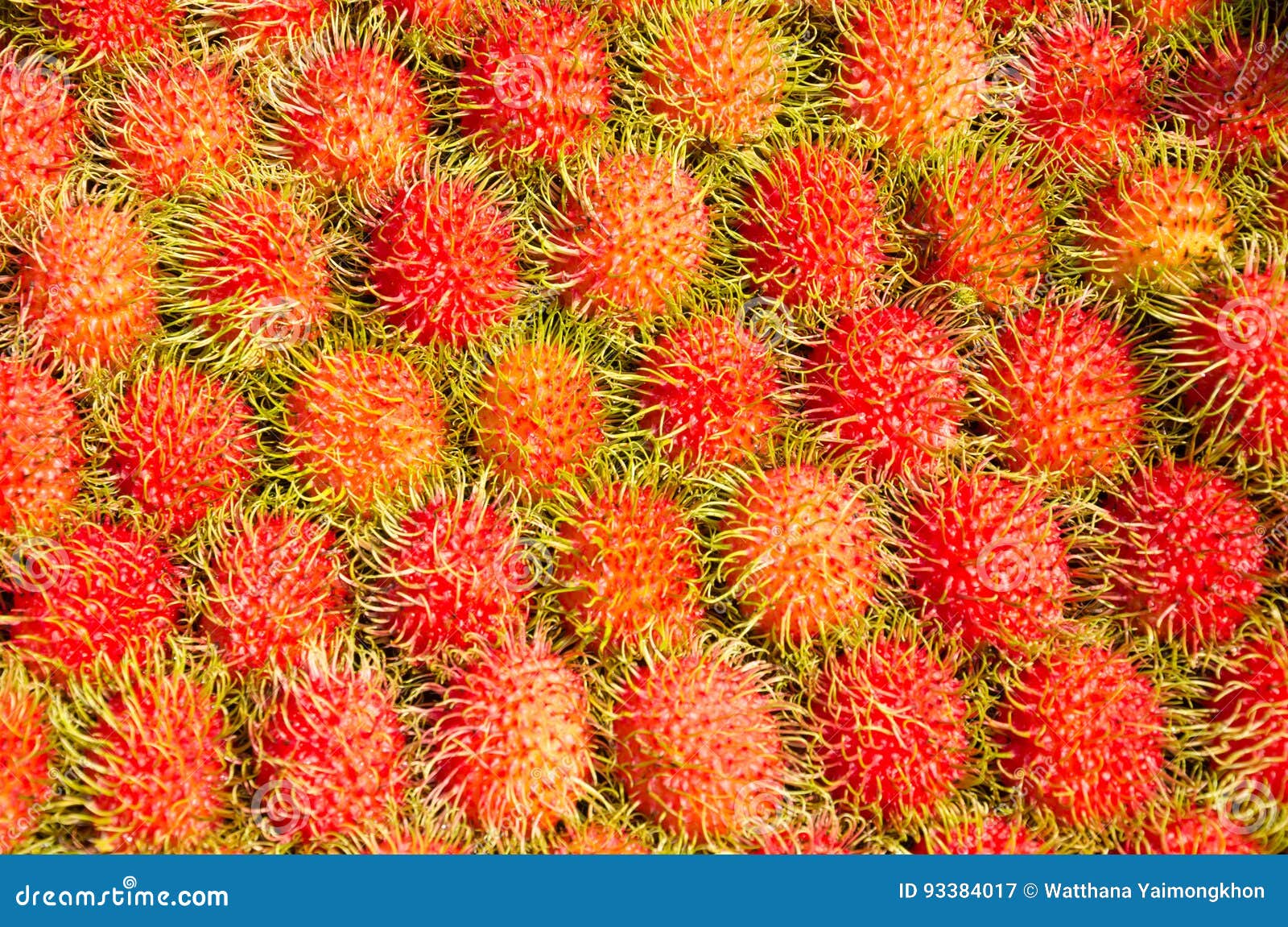 Many Ripe Red Rambutan Arranged Stock Image - Image of agriculture ...