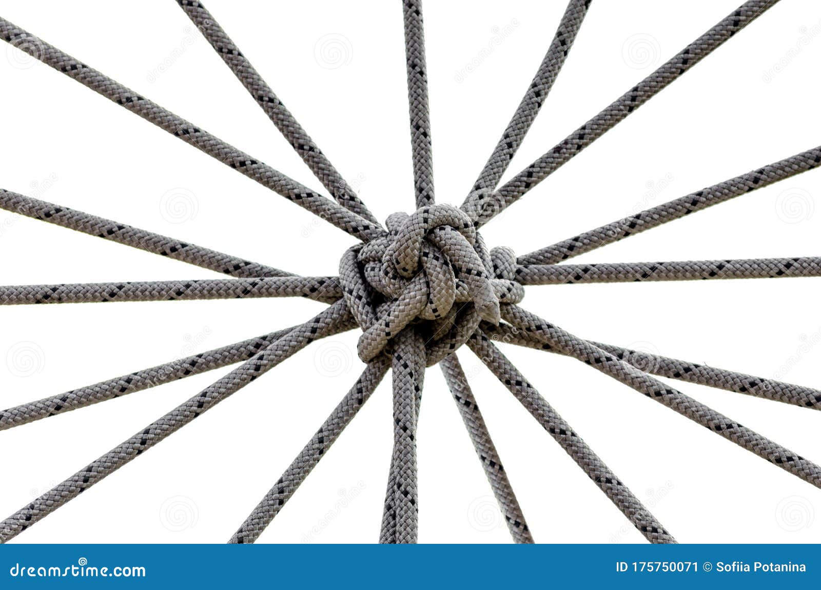 Many Ropes and One Big Knot Close Up Stock Image - Image of large, knot ...