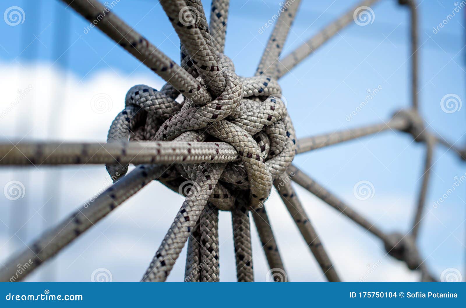 Many Ropes and One Big Knot Close Up Stock Photo - Image of apposition ...