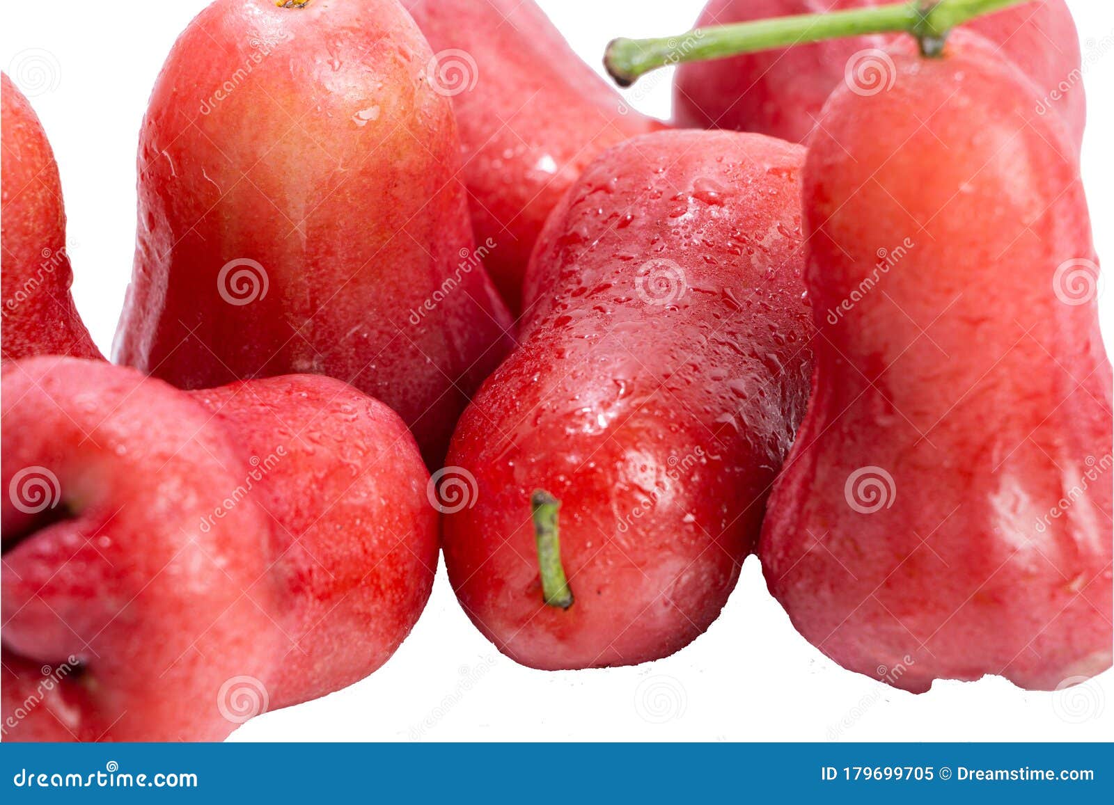 Many rose apple fruits stock image. Image of sweet, nutrition - 179699705