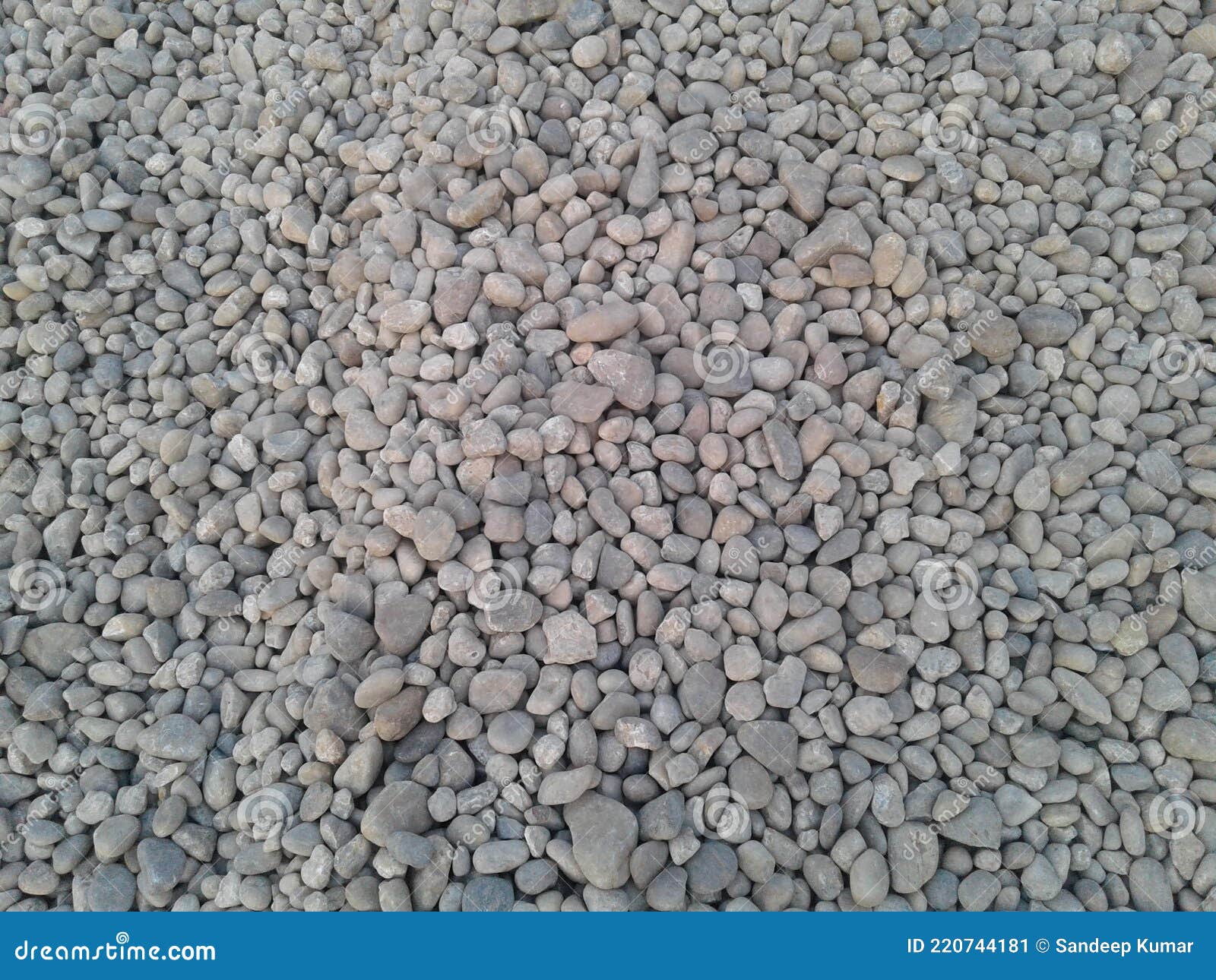 So many round shape pebble stock image. Image of food - 220744181