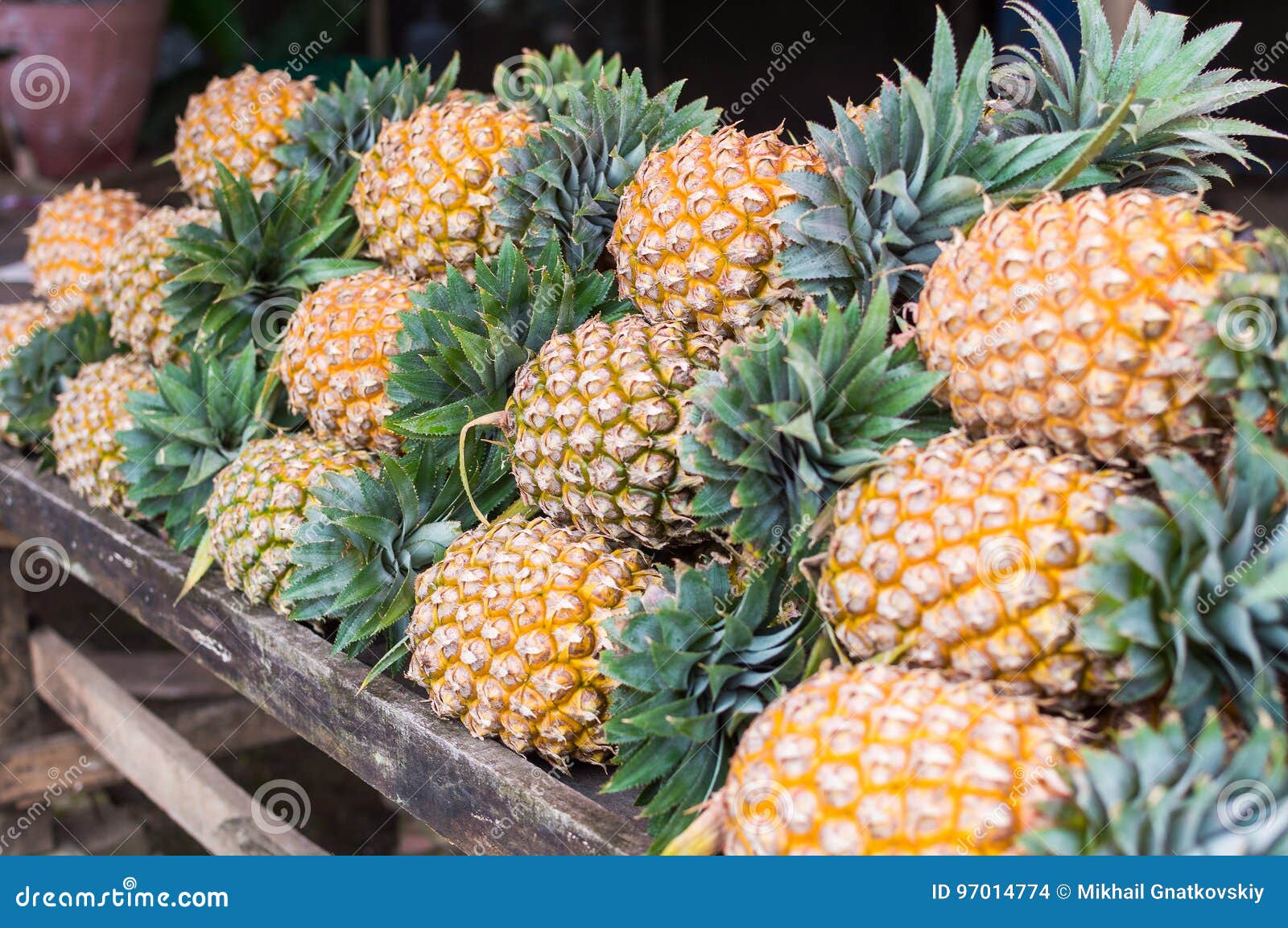 Many Row of Pineapple at Market Stall Stock Photo - Image of freshness ...