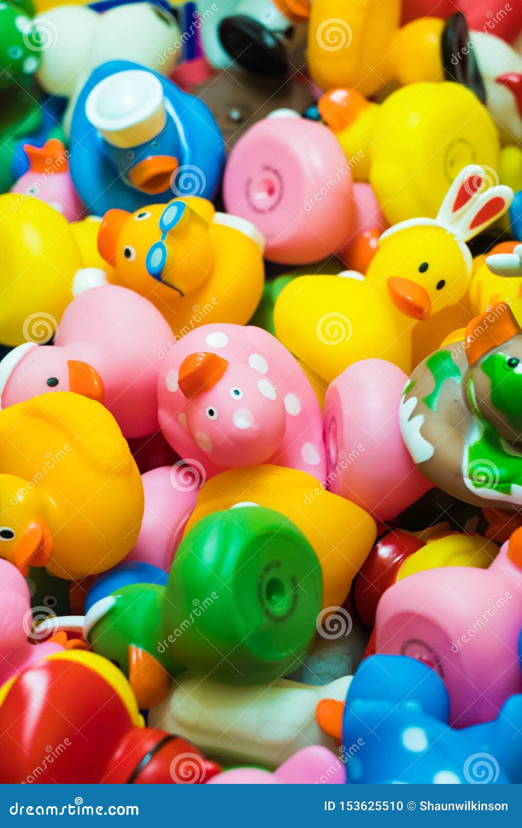 Many rubber ducks stock photo. Image of ducky, plenty - 153625510