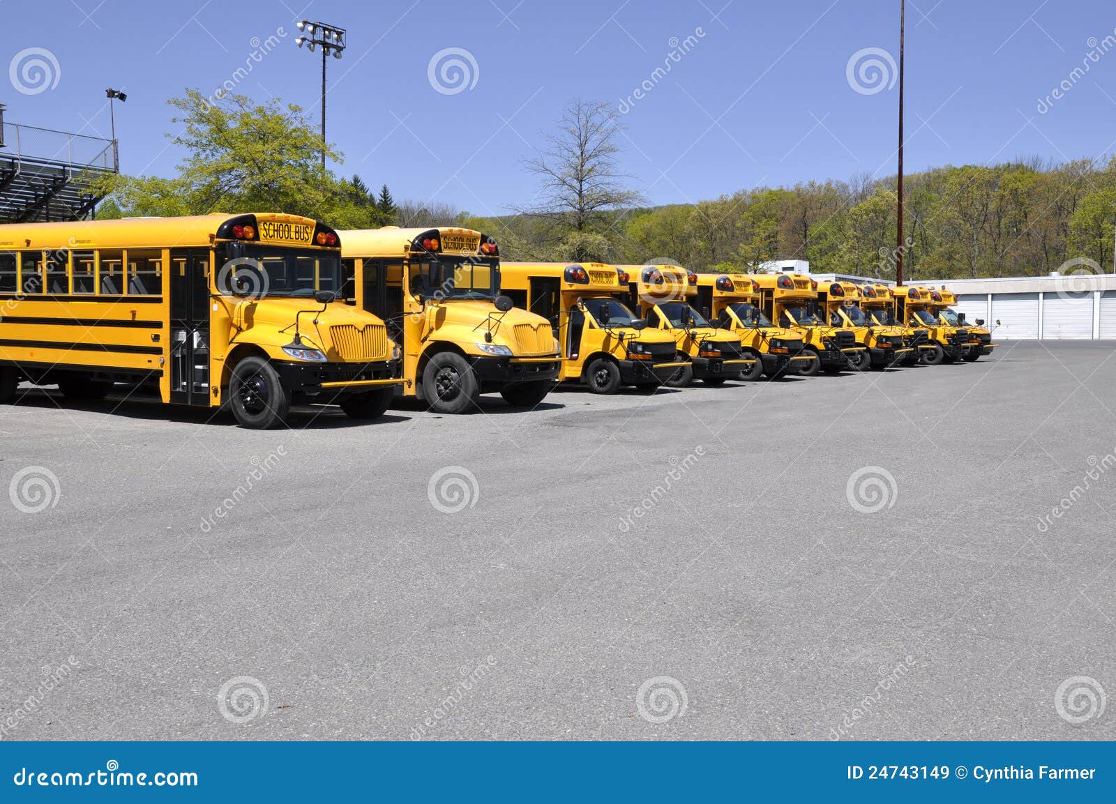 Many school buses stock image. Image of yellow, transport - 24743149