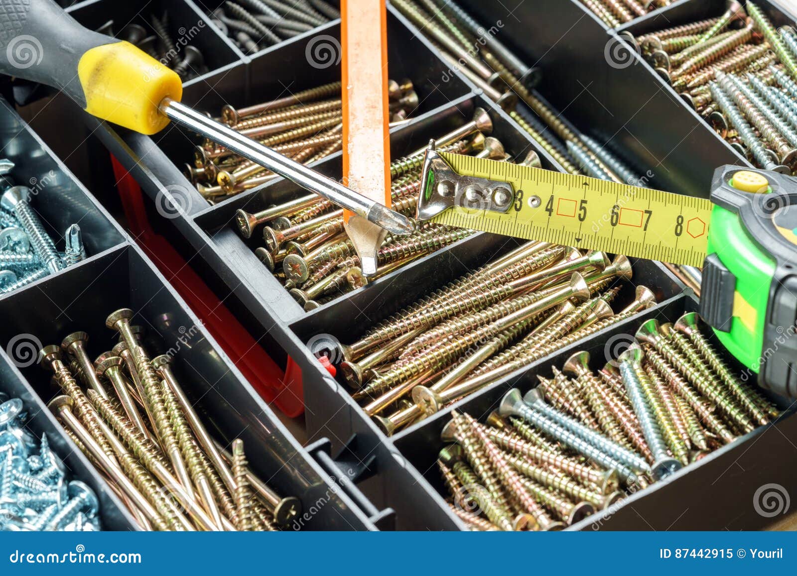 Many Screws in Plastic Organizer Box, Work Tools Stock Image - Image of ...