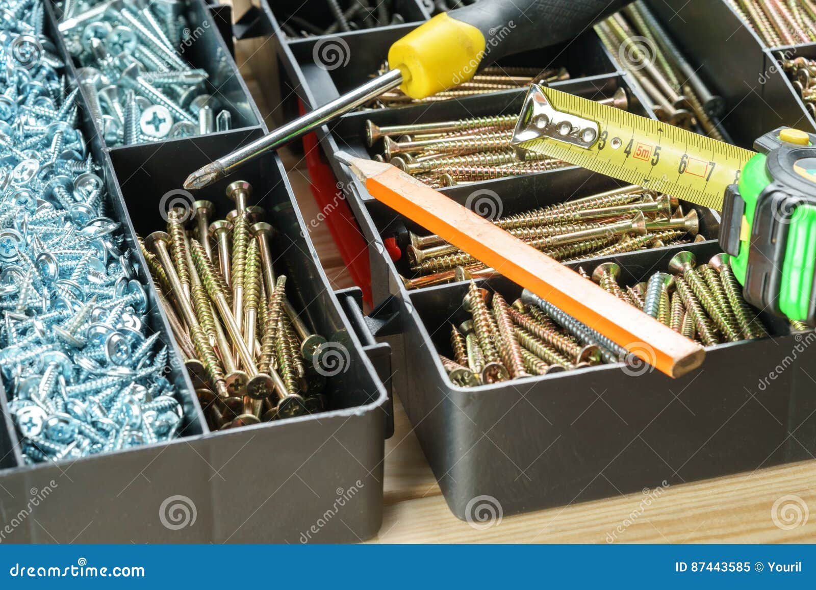 Many Screws in Plastic Organizer Box, Work Tools Stock Image - Image of ...