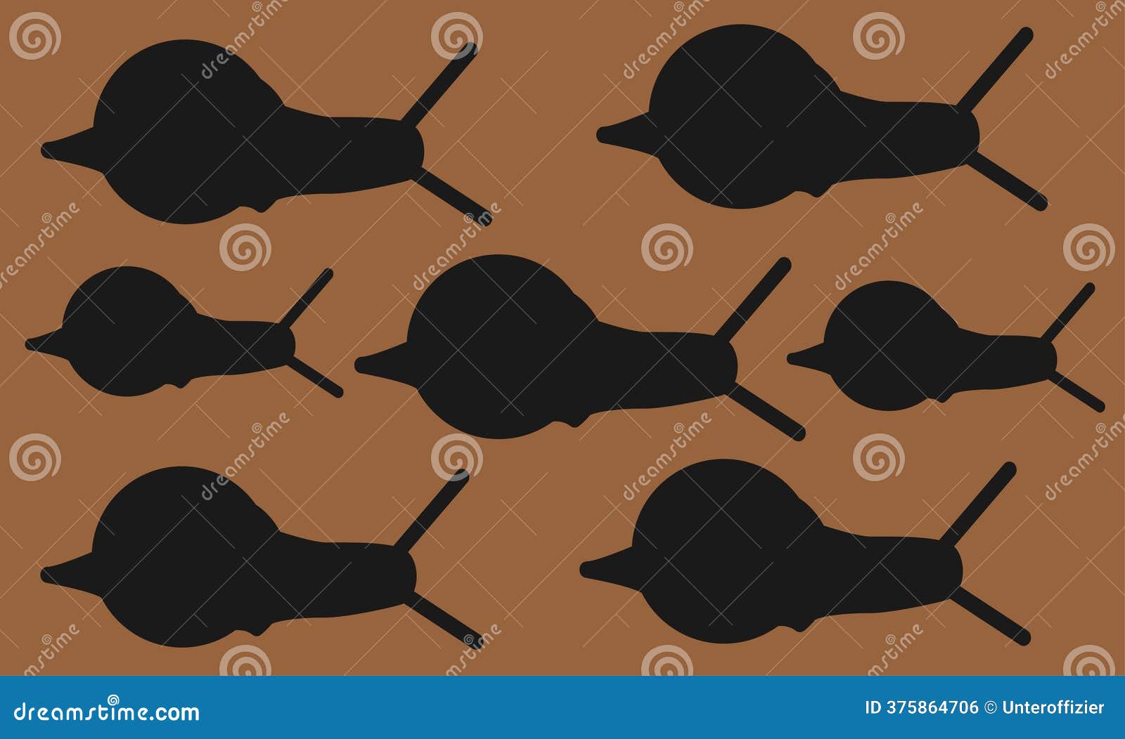 Snails Slugs Anatomy. Snail Body Structure Diagram. Internal And ...