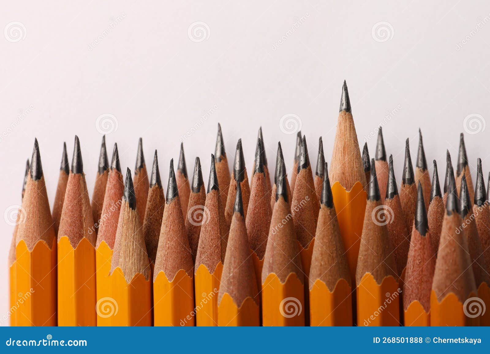 Many Sharp Graphite Pencils Isolated on White Stock Photo - Image of ...
