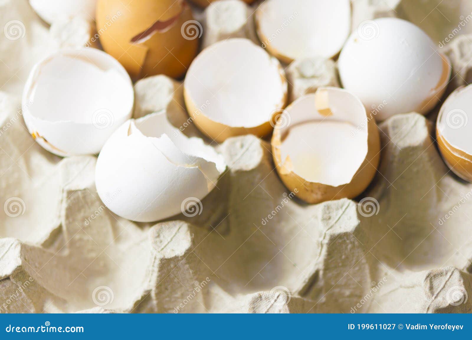 Many Shell Egg Scattered in a Cardboard Package Made of Recycled Waste ...