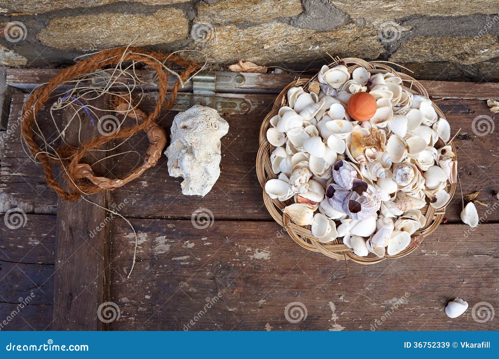 Many Shells On The Ground Form A Uniform Background Royalty-Free Stock ...