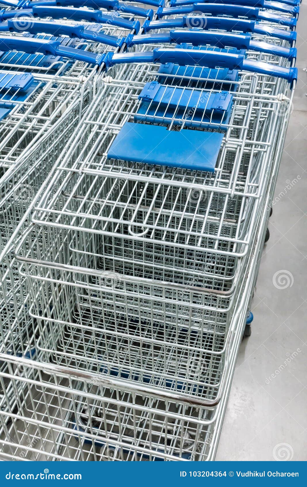 Many Shopping Carts in a Row Stock Photo - Image of blue, shoppers ...