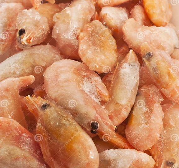 Many shrimp close up stock image. Image of closeup, healthy - 29145565