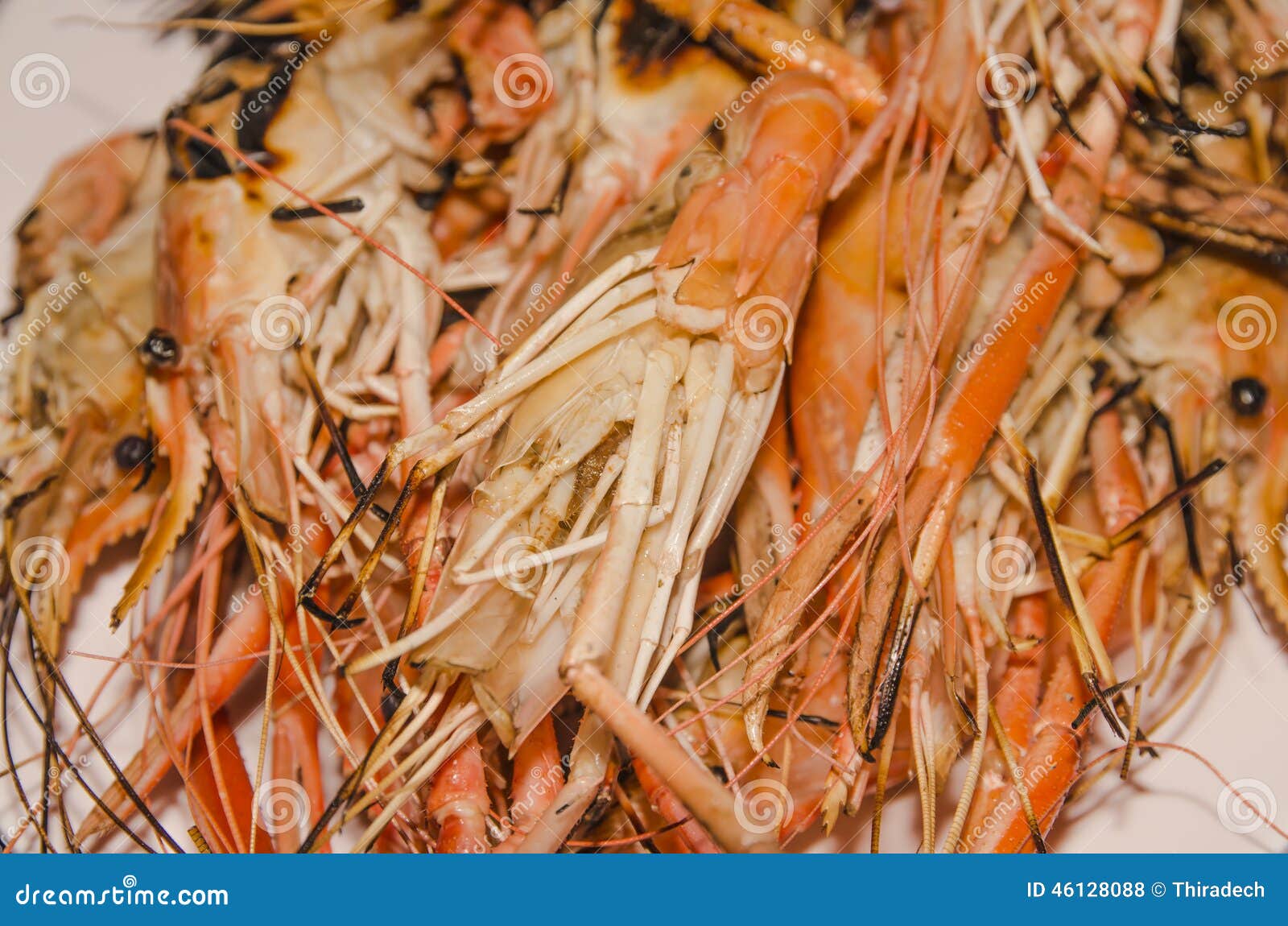 Many Shrimp stock photo. Image of plate, pepper, grilled - 46128088