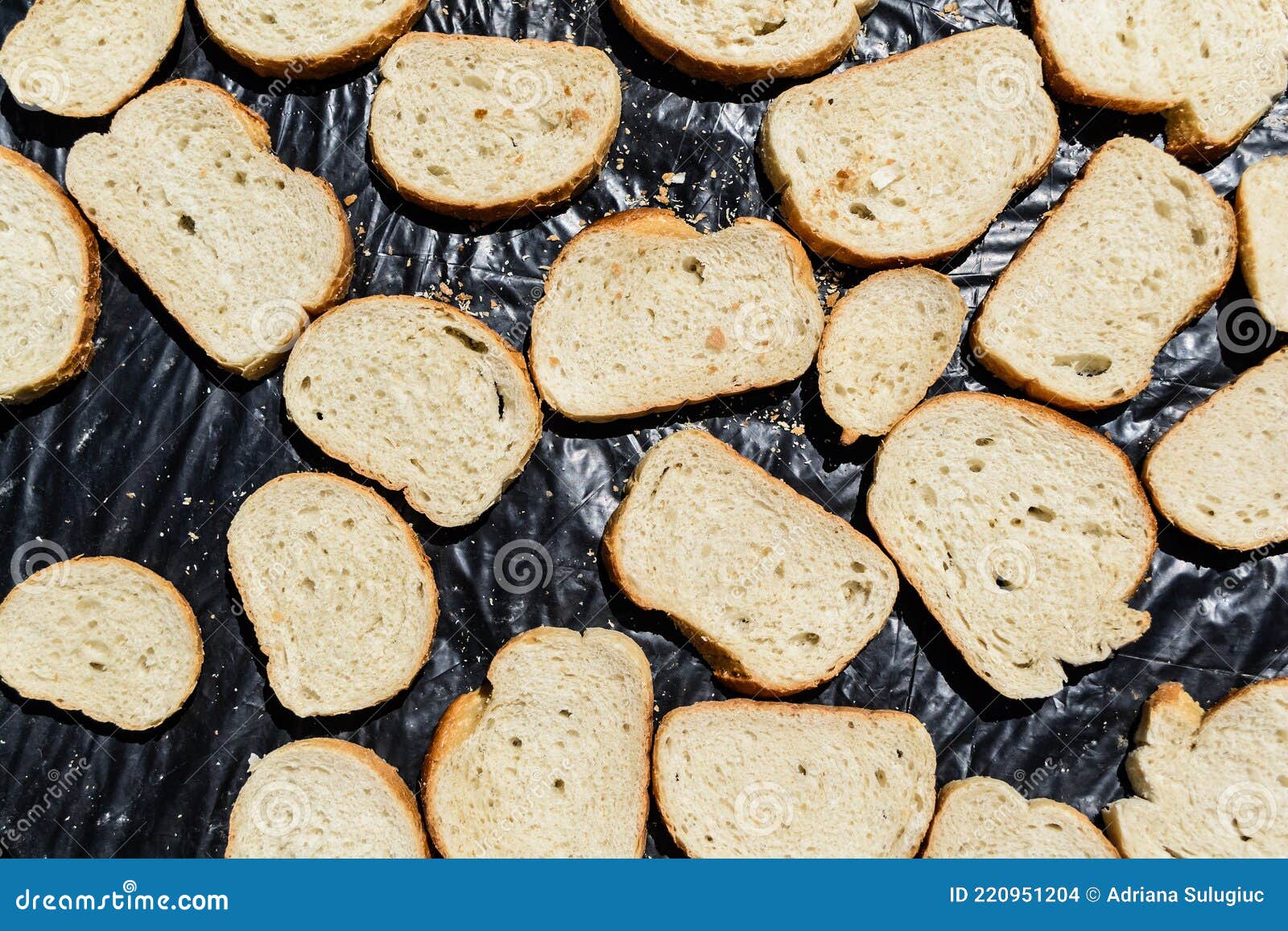 Slices of dry old bread stock photo. Image of golden - 220951204