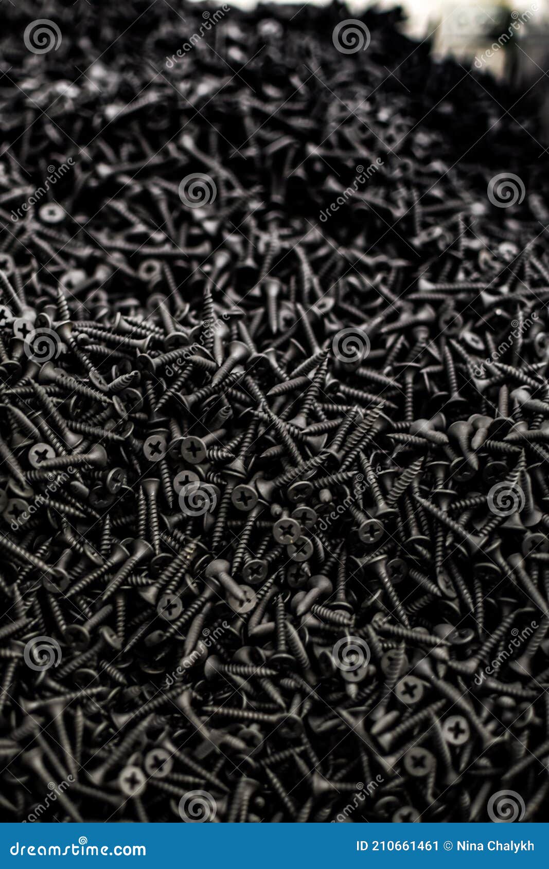 Many Small Black Screws. View from Above. Texture. Background ...