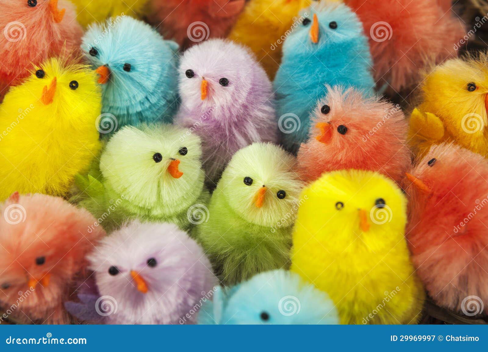 Colorful easter chickens stock image. Image of baby, yellow - 29969997
