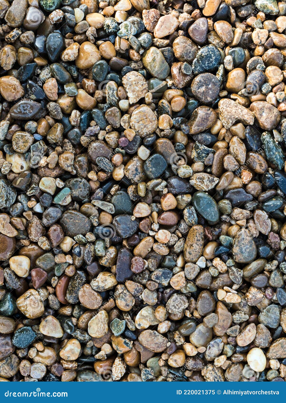 Many Small Multi-colored Pebbles Close-up Stock Image - Image of shot ...
