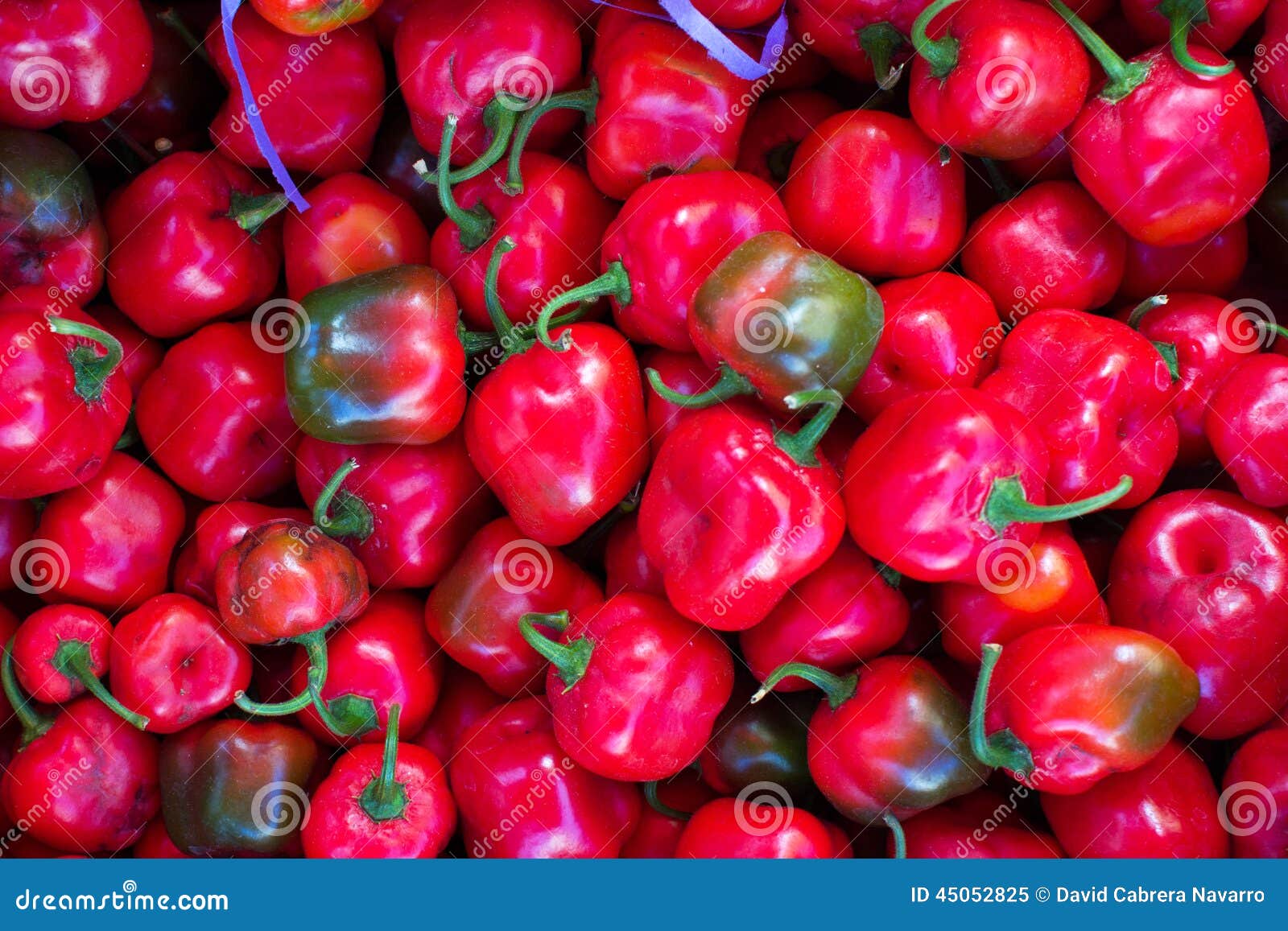 Many small peppers stock image. Image of healthy, colorful - 45052825