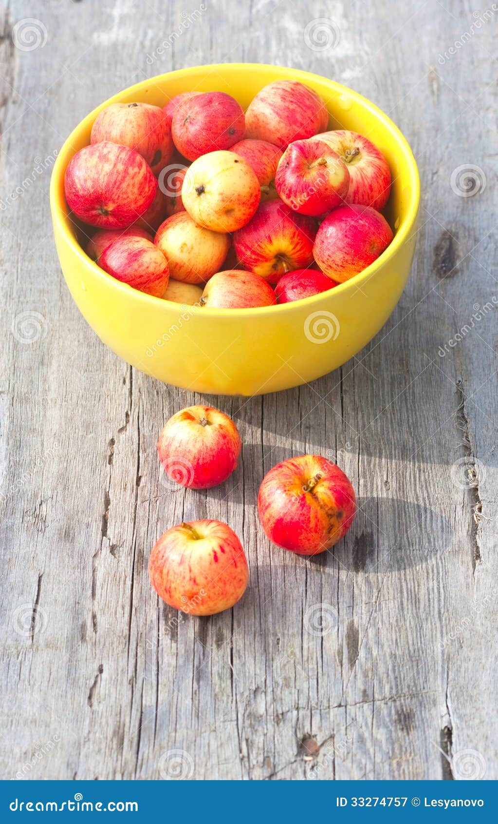 Many small red apples stock image. Image of apple, rich - 33274757