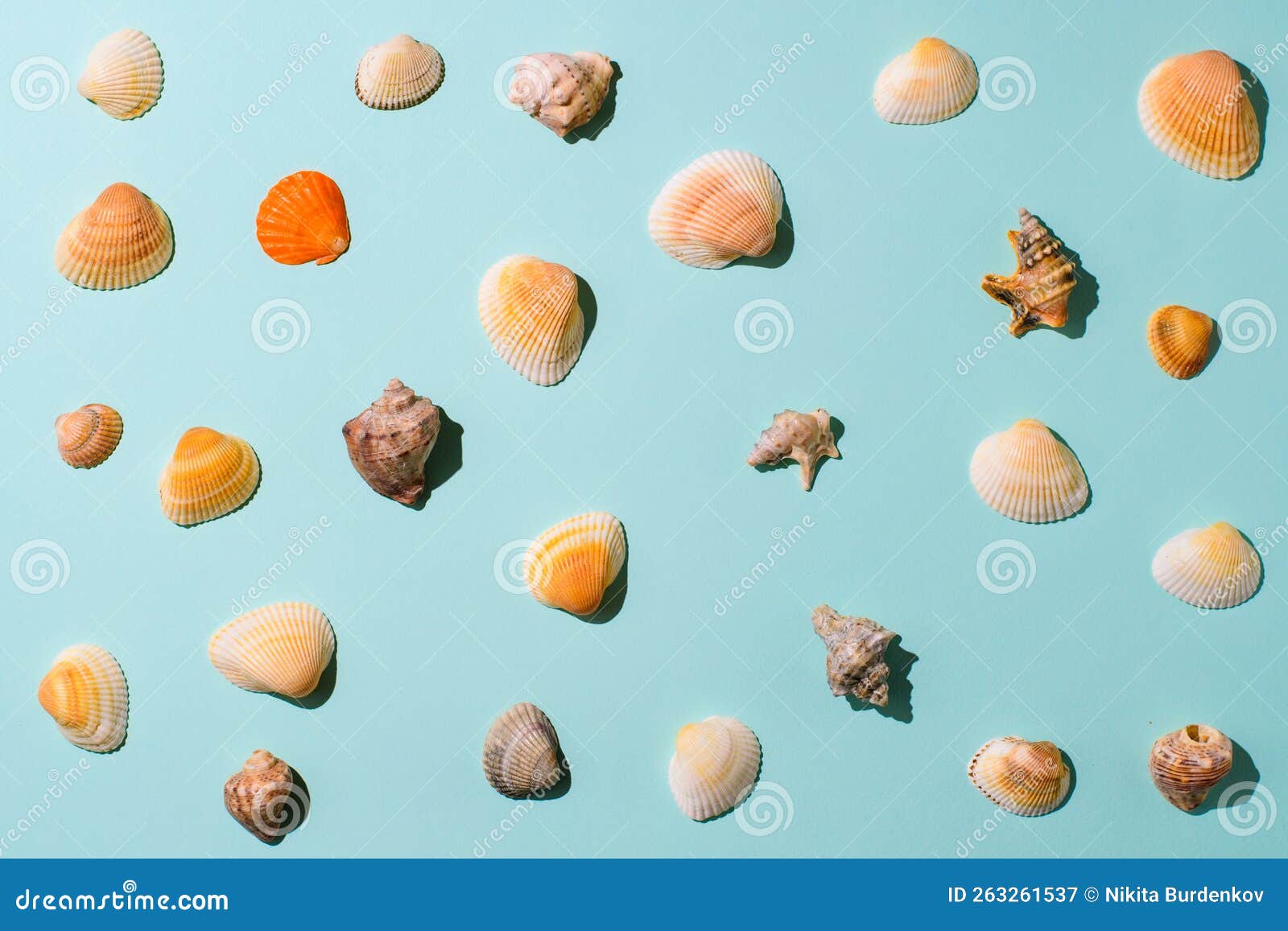 Many Small Seashells on a Blue Background. Stock Image - Image of ...