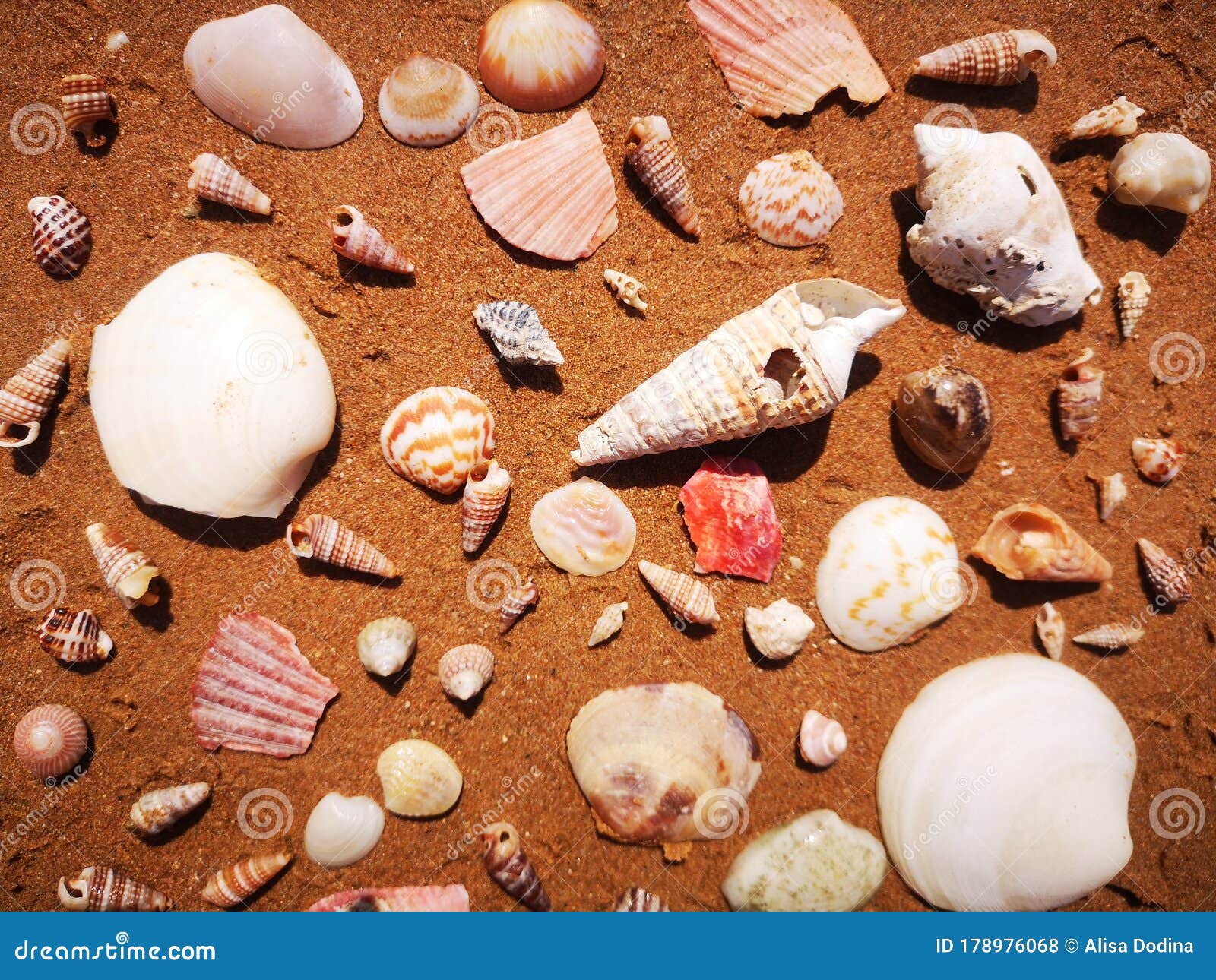 Many Small Shells Lie on the Golden Sand, Computing the Summer ...