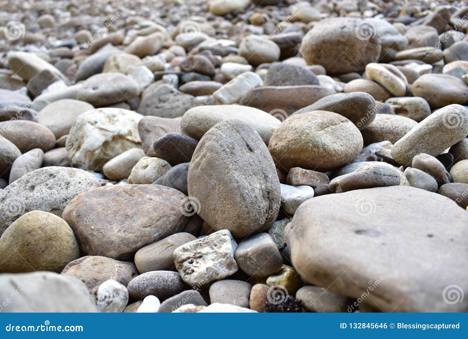 Many smooth river rocks stock photo. Image of porous - 132845646