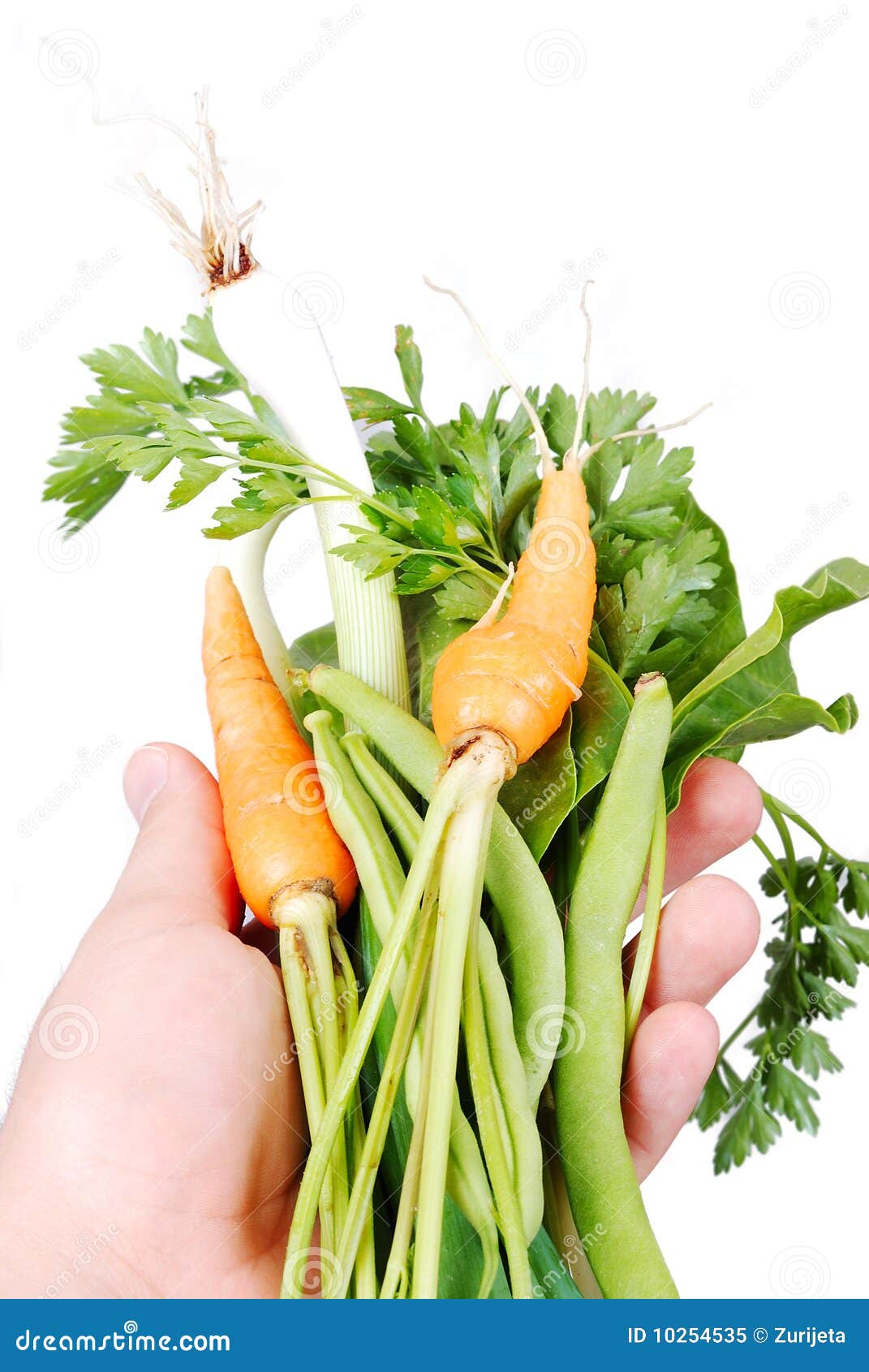 Many Sorts of Vegetable in the Hand Stock Image - Image of shop, green ...