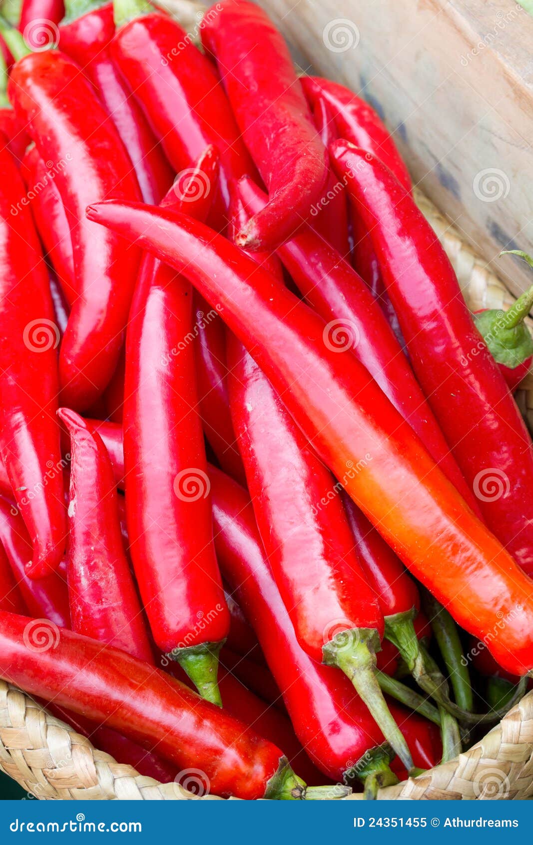 Many Spicy Red Chilli stock image. Image of serrano, solitude - 24351455