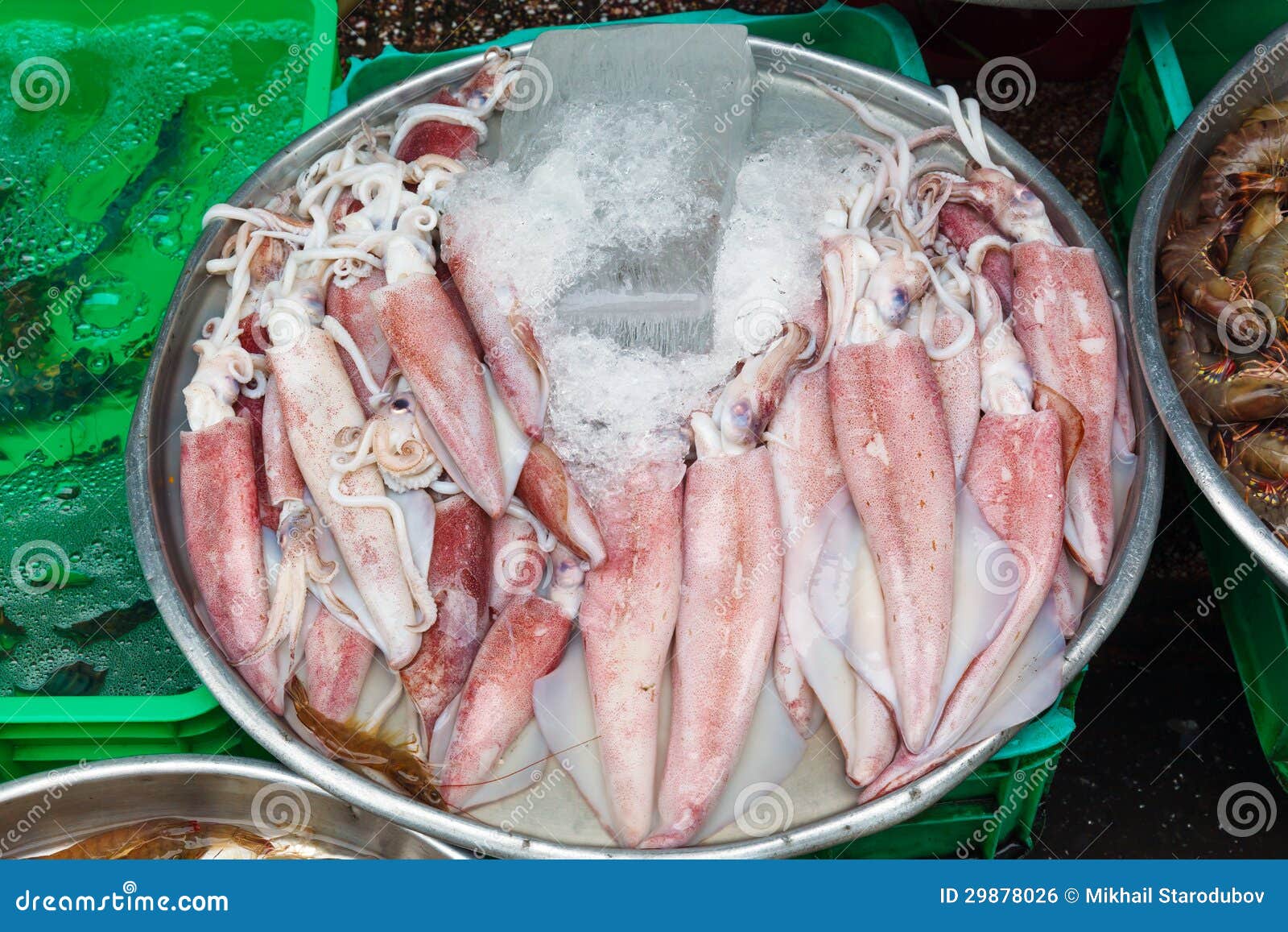 Squid on the market stock photo. Image of objects, stew - 29878026