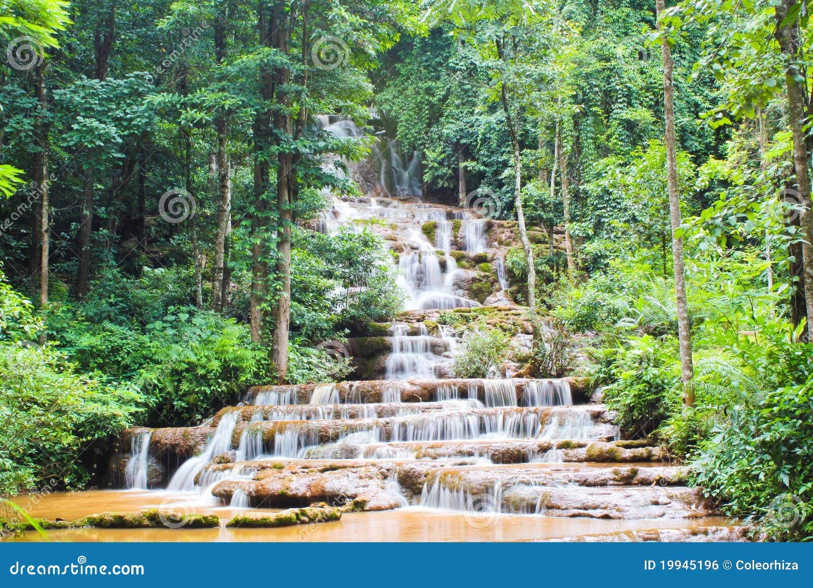 Many steps waterfall stock photo. Image of forest, cascade - 19945196