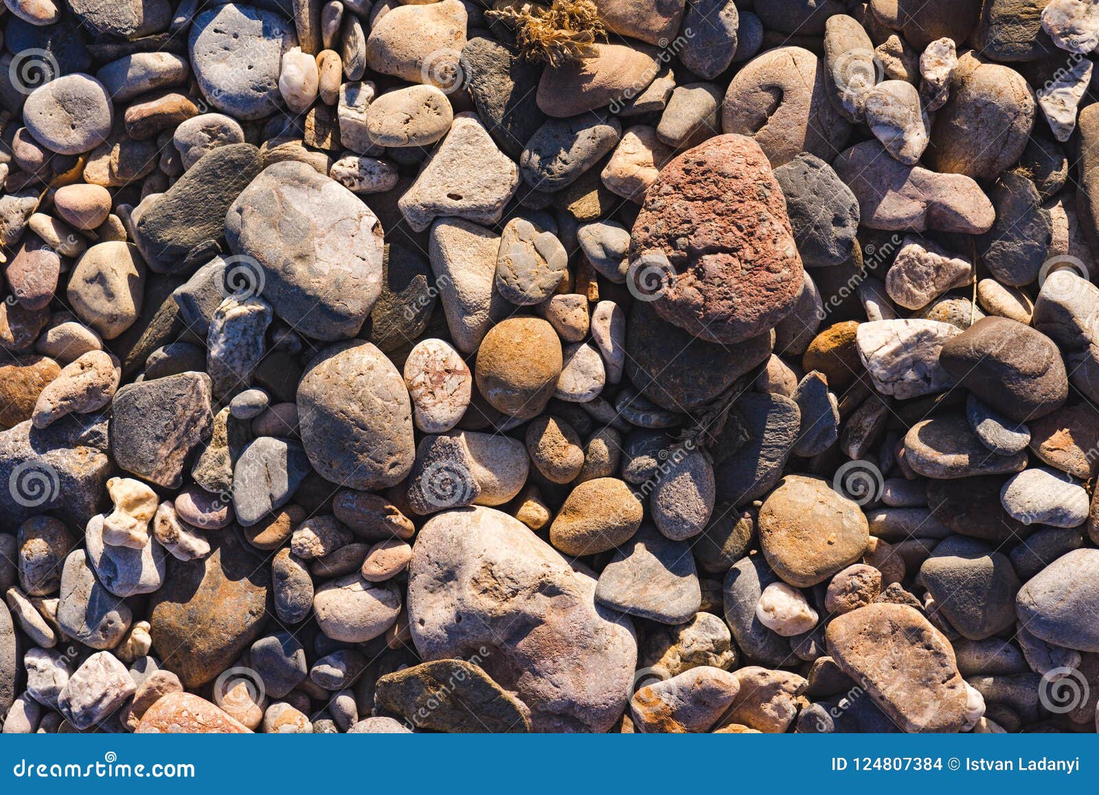 Many stones on the beach stock photo. Image of stones - 124807384