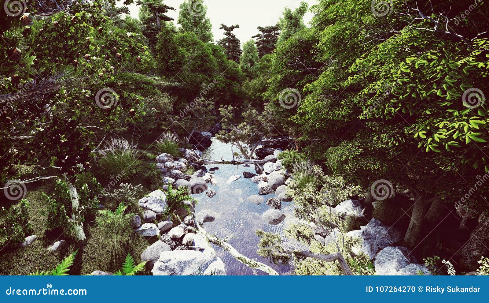 So Many Stones in the Forest River Eagle View Stock Photo - Image of ...