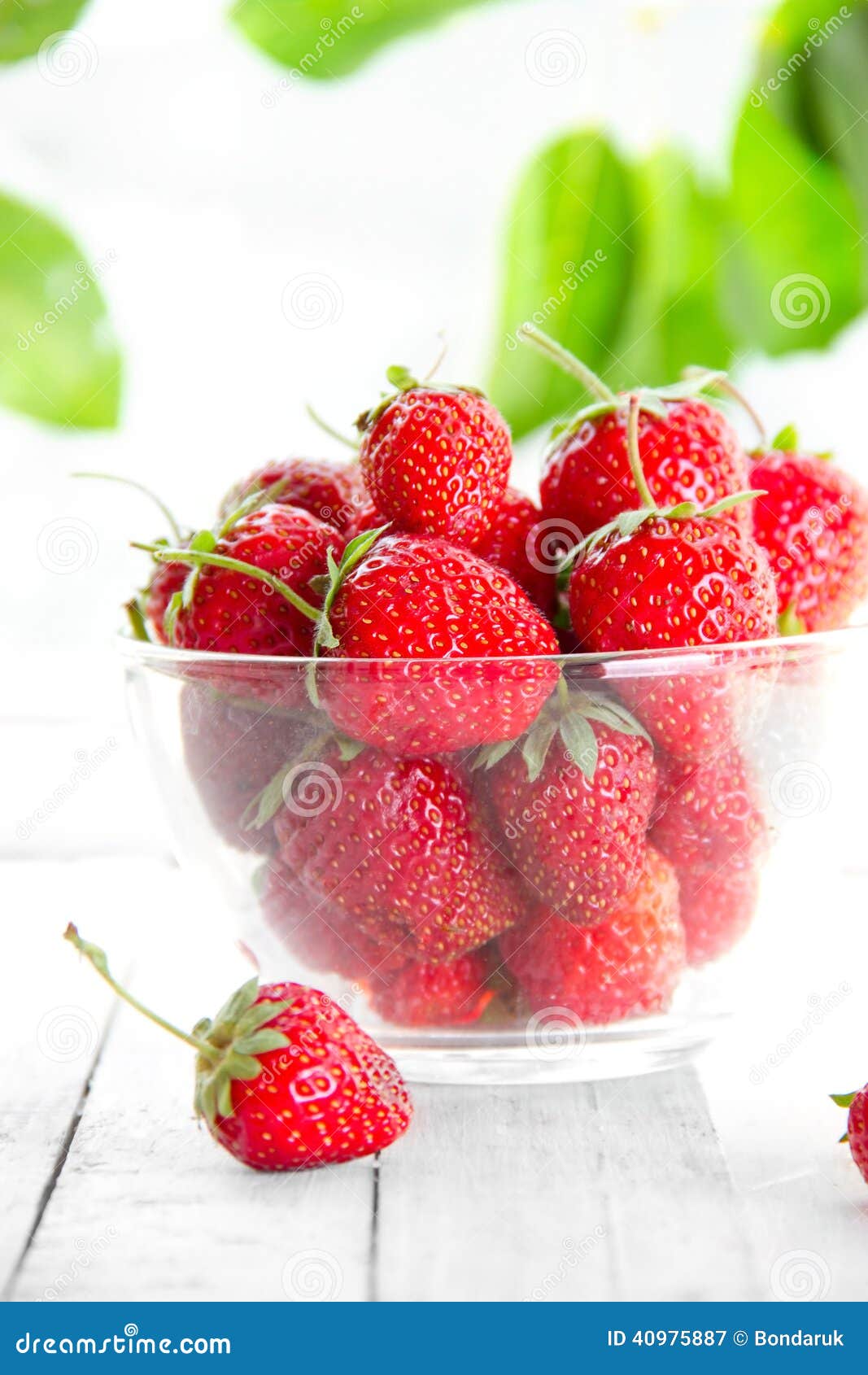 Many strawberries stock image. Image of garden, lifestyle - 40975887