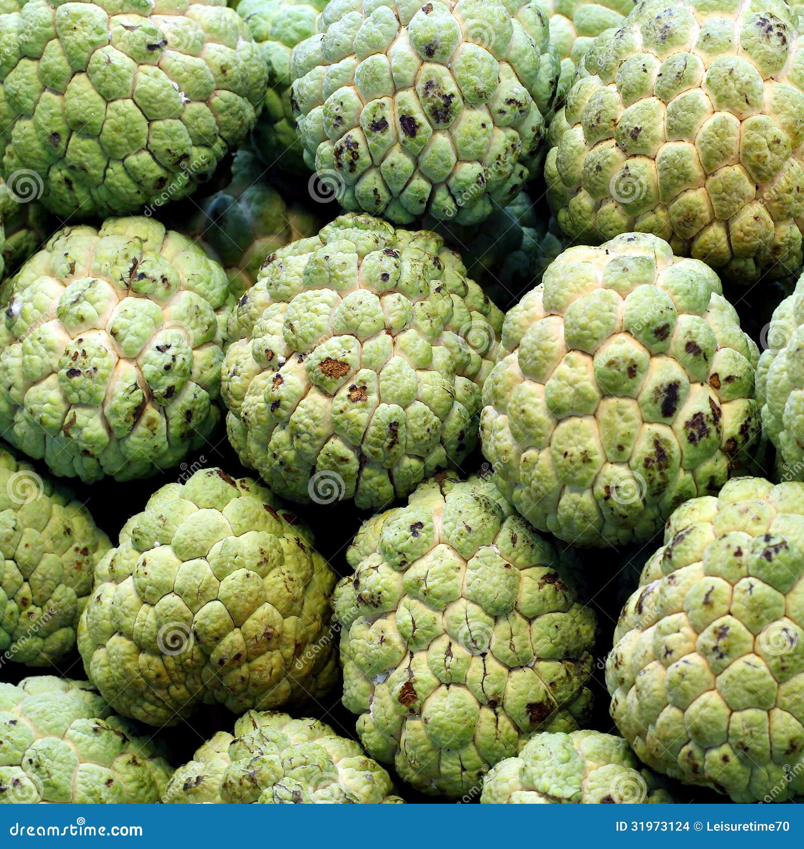 Many Sugar apples stock photo. Image of nutrition, healthy - 31973124