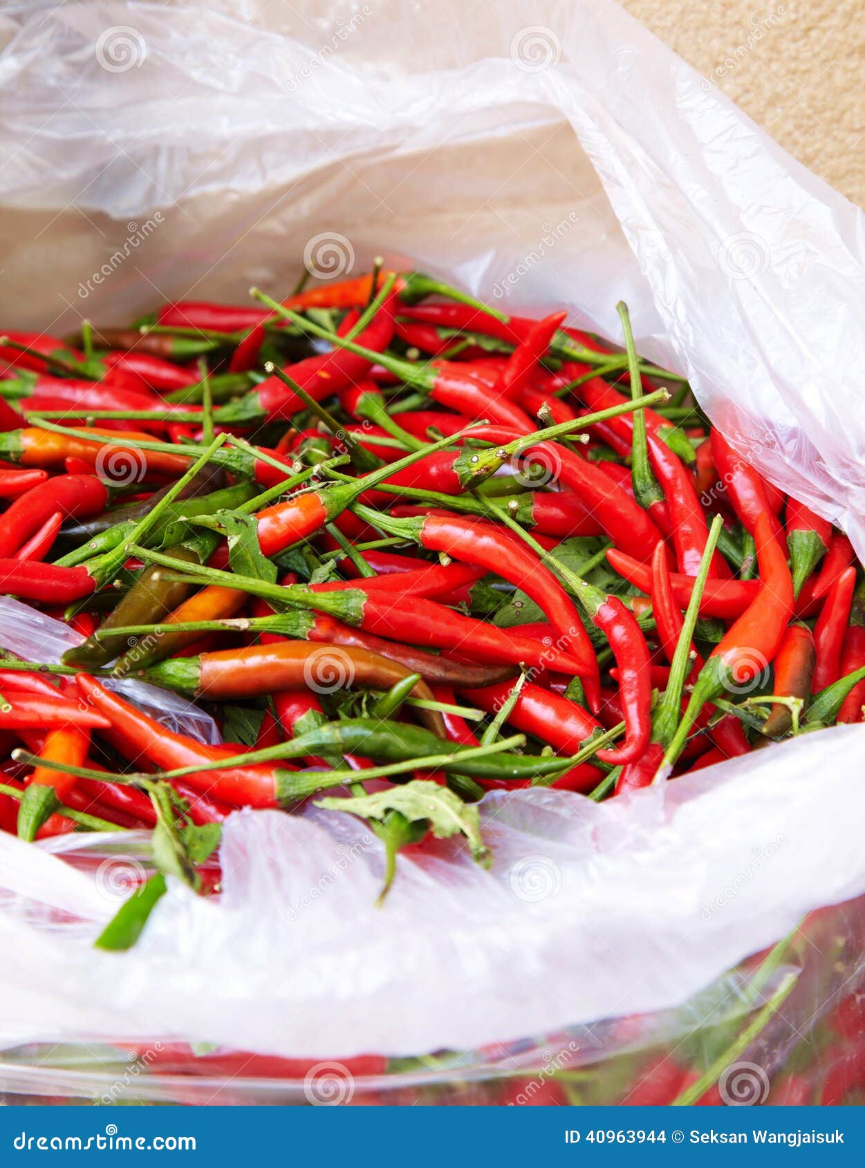 Many Thai Chili in Plastic Bag Stock Photo - Image of diet, farm: 40963944