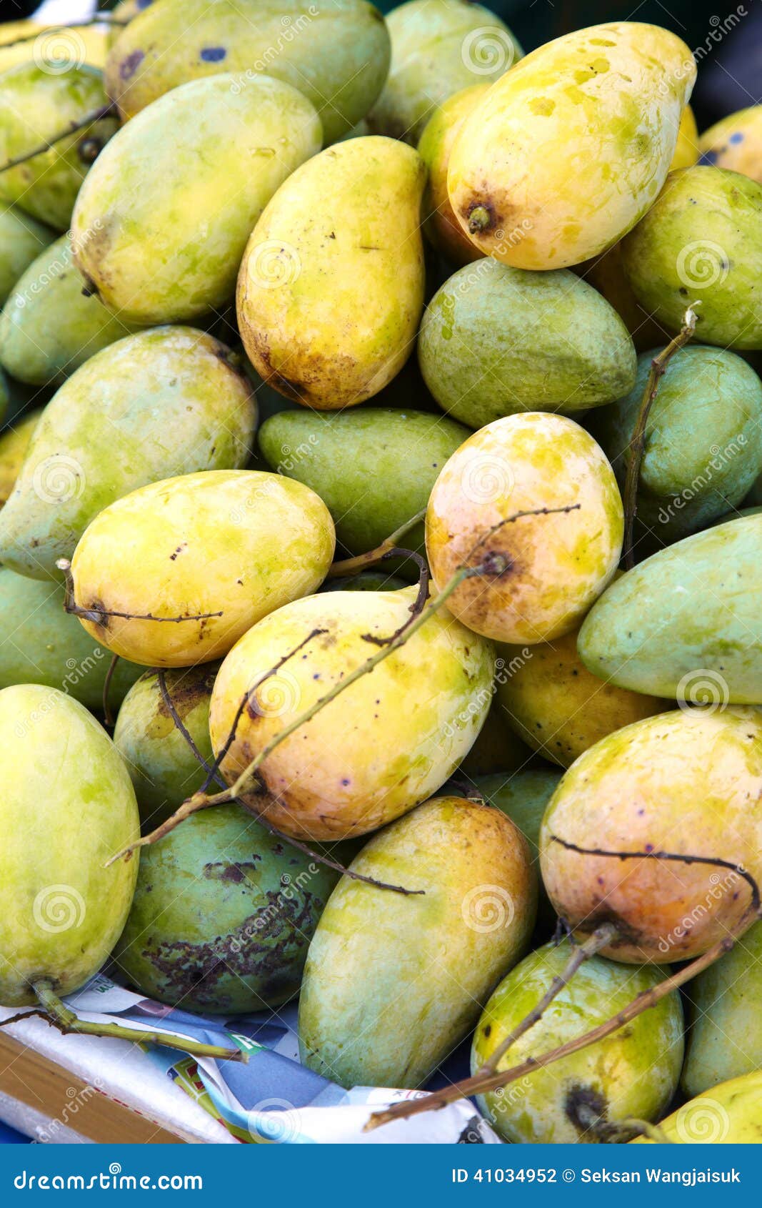Many thai mango stock photo. Image of natural, mango - 41034952