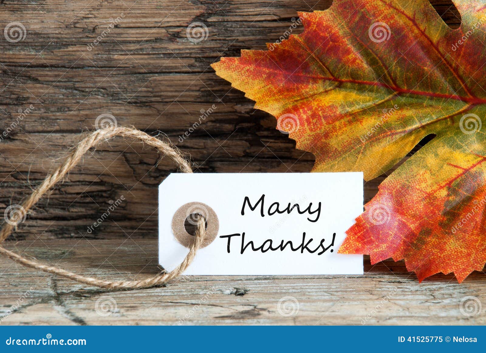 Many Thanks Fall Label stock image. Image of grunge, congratulations ...