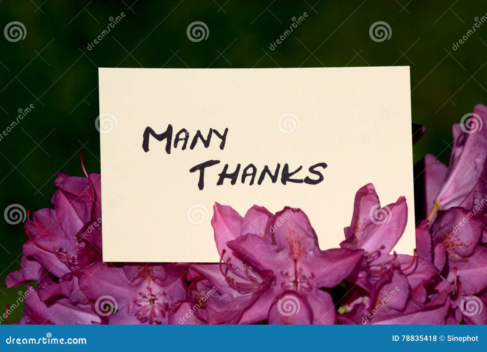 Many thanks stock photo. Image of note, gratitude, write - 78835418