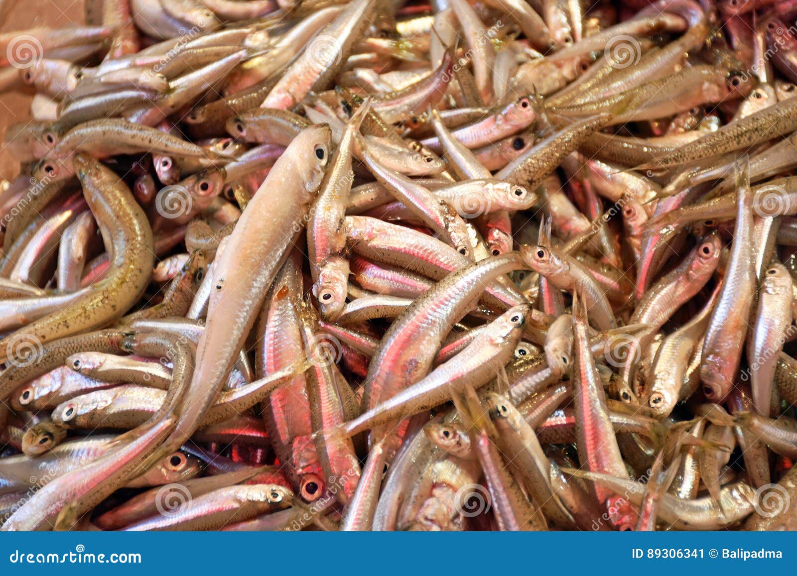 Many Tiny Fish are on Sale at a Market Stall in Crete Greece Stock ...