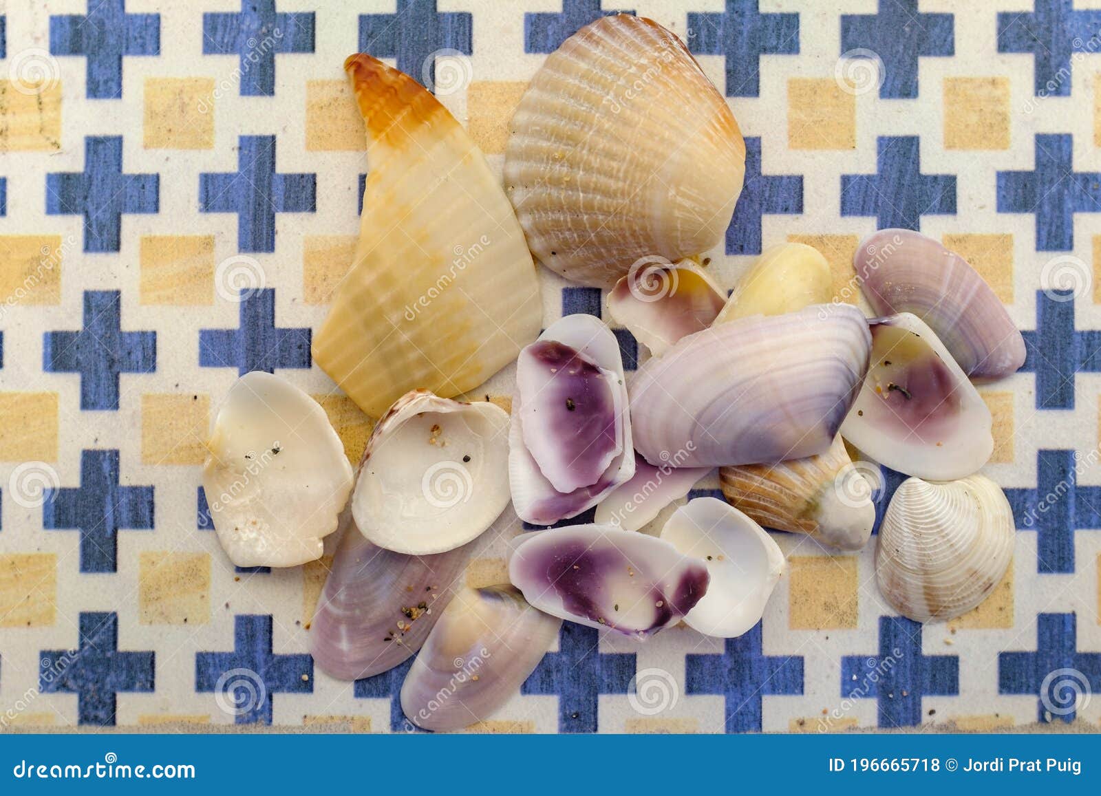 Many Tiny Sea Shells on a Mosaic Brick Background Stock Photo - Image ...
