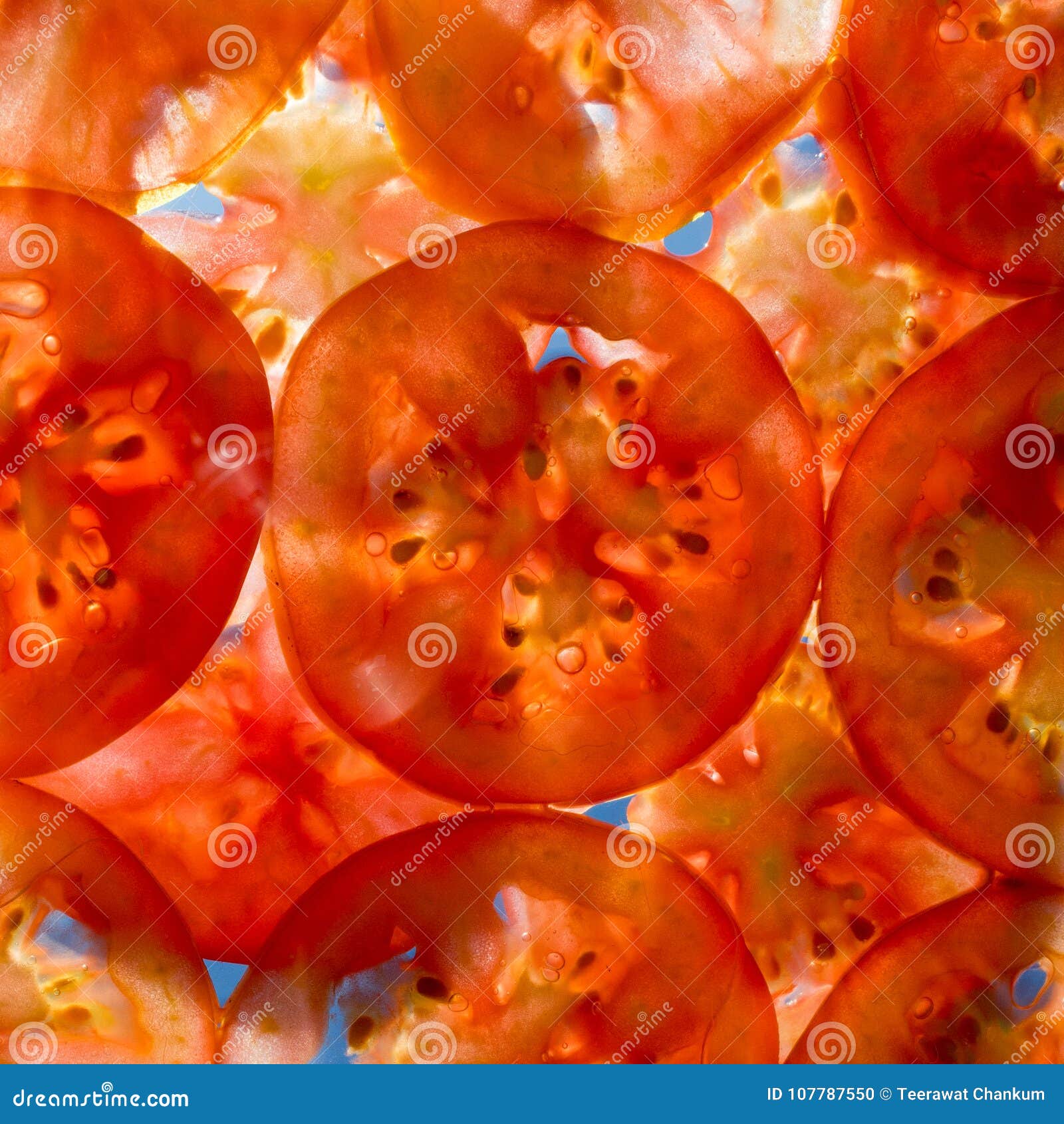 Many Tomato Slice with Blue Sky Stock Photo - Image of slices, clouseup ...