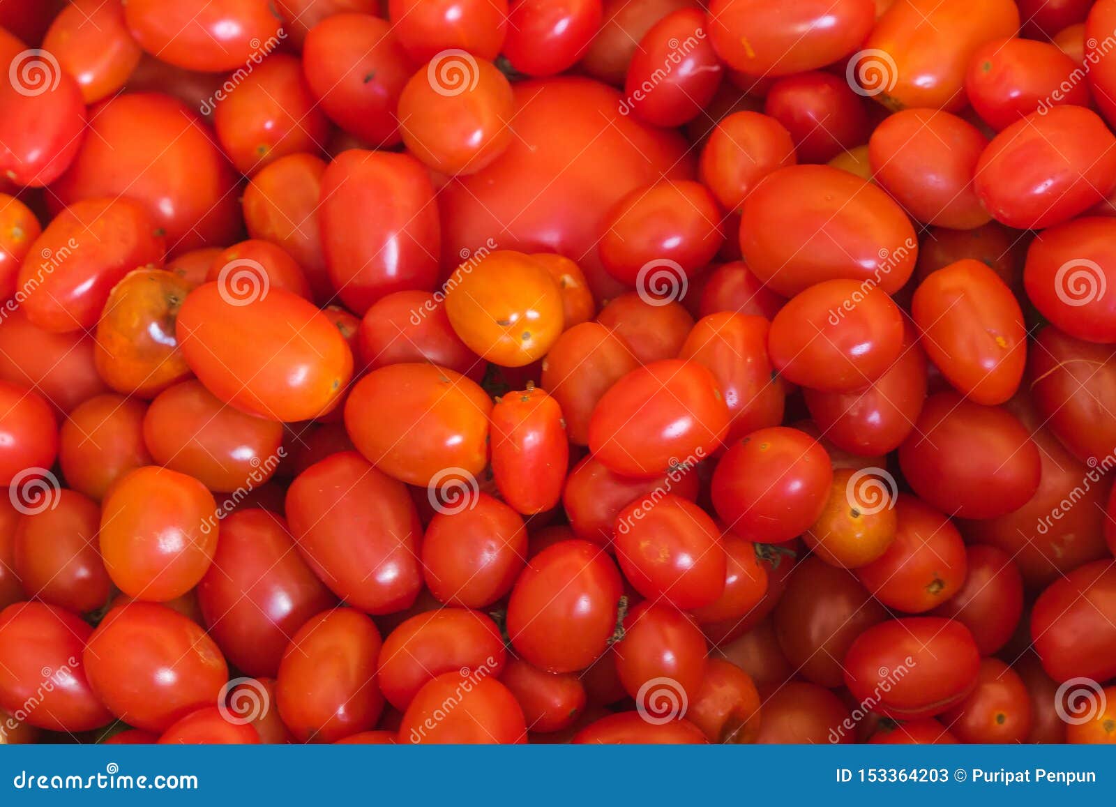 Many Tomatoes Keep Fresh from the Farm Stock Image - Image of group ...