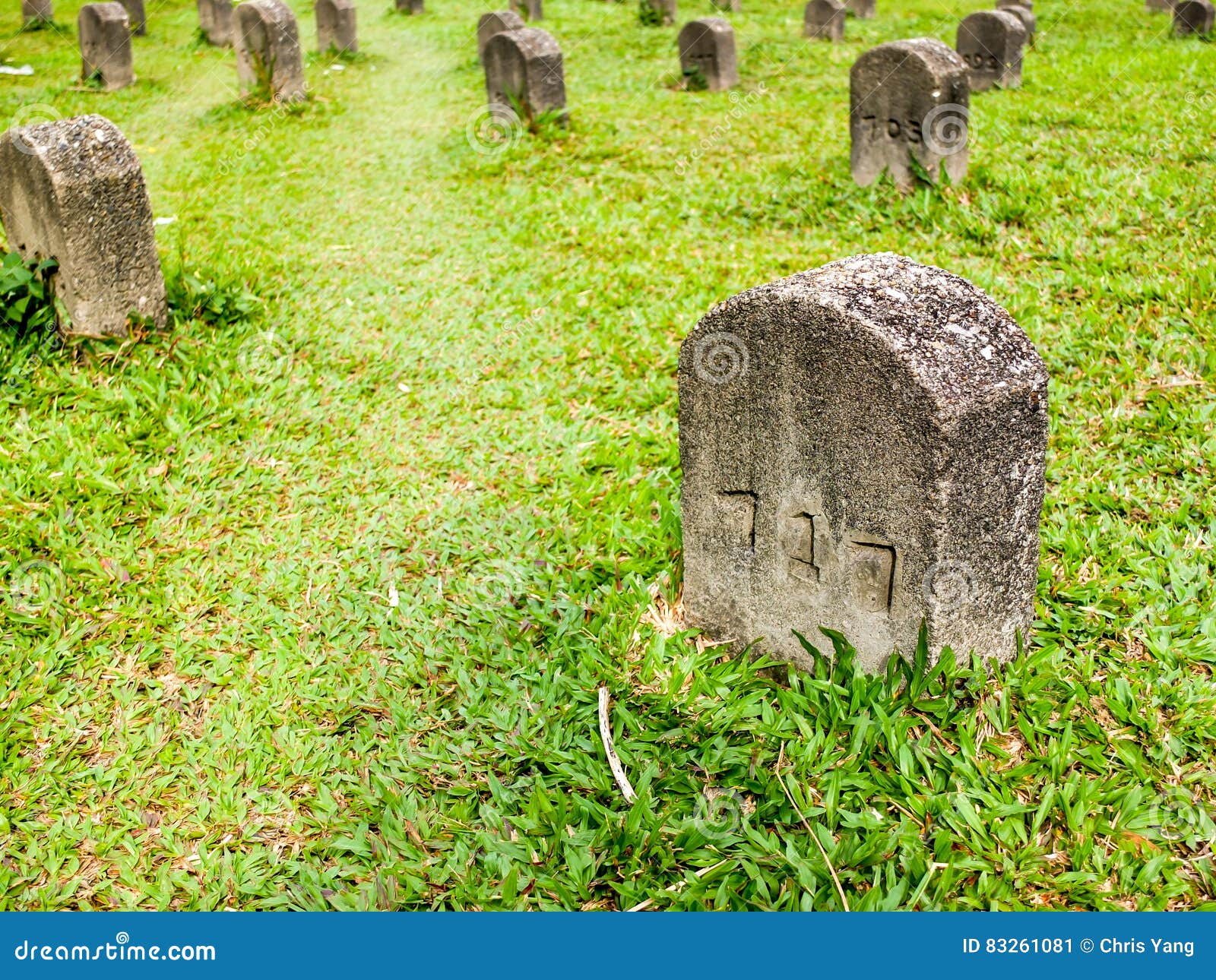 Many tombs on the grass stock image. Image of headstone - 83261081